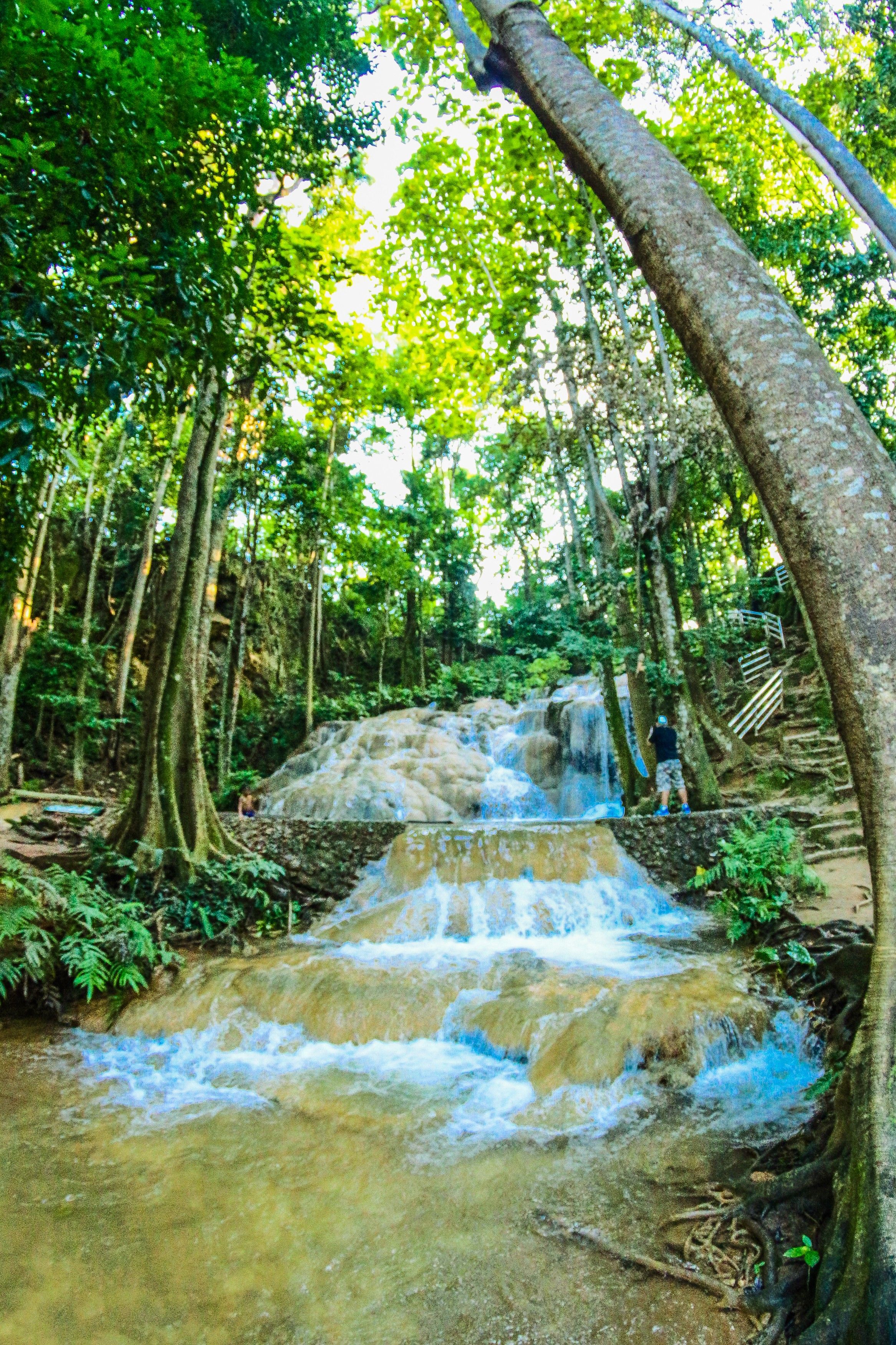 Free stock photo of asean, background, beautiful
