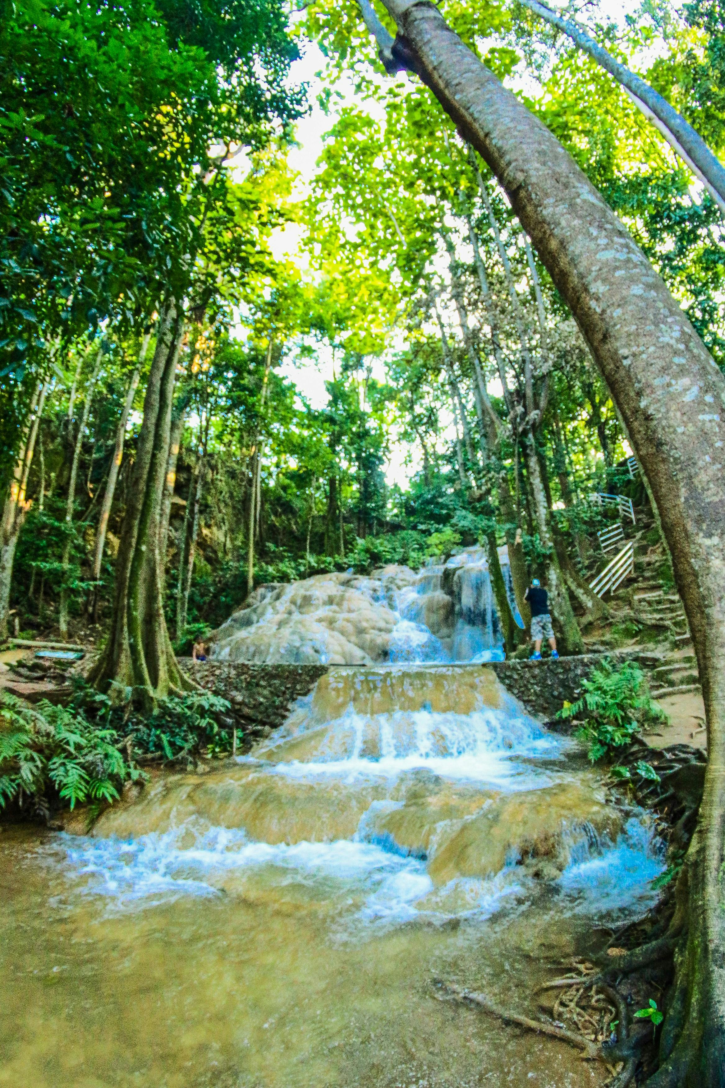 Free stock photo of asean, background, beautiful