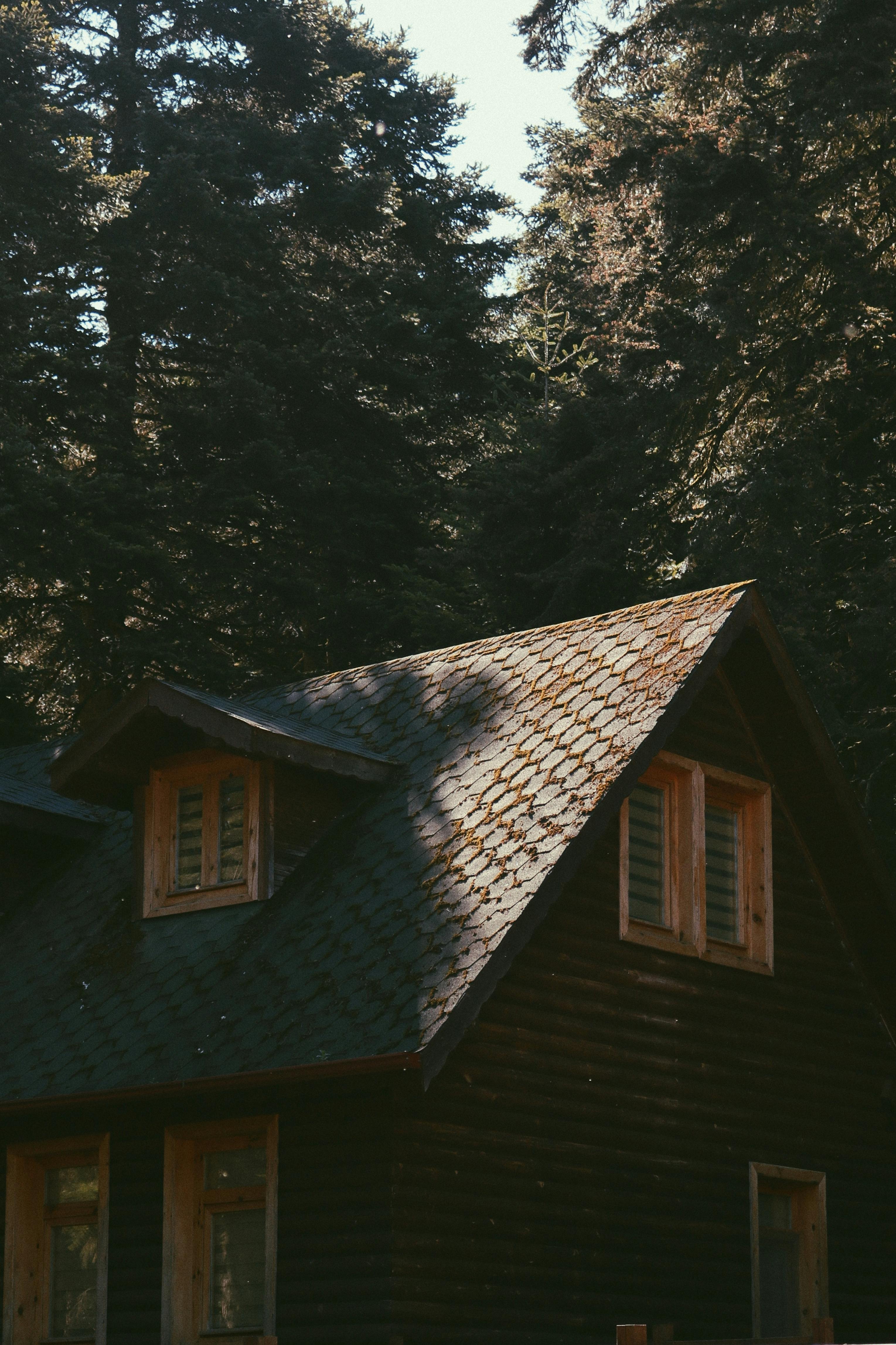 Cabin Photos, Download The BEST Free Cabin Stock Photos & HD Images