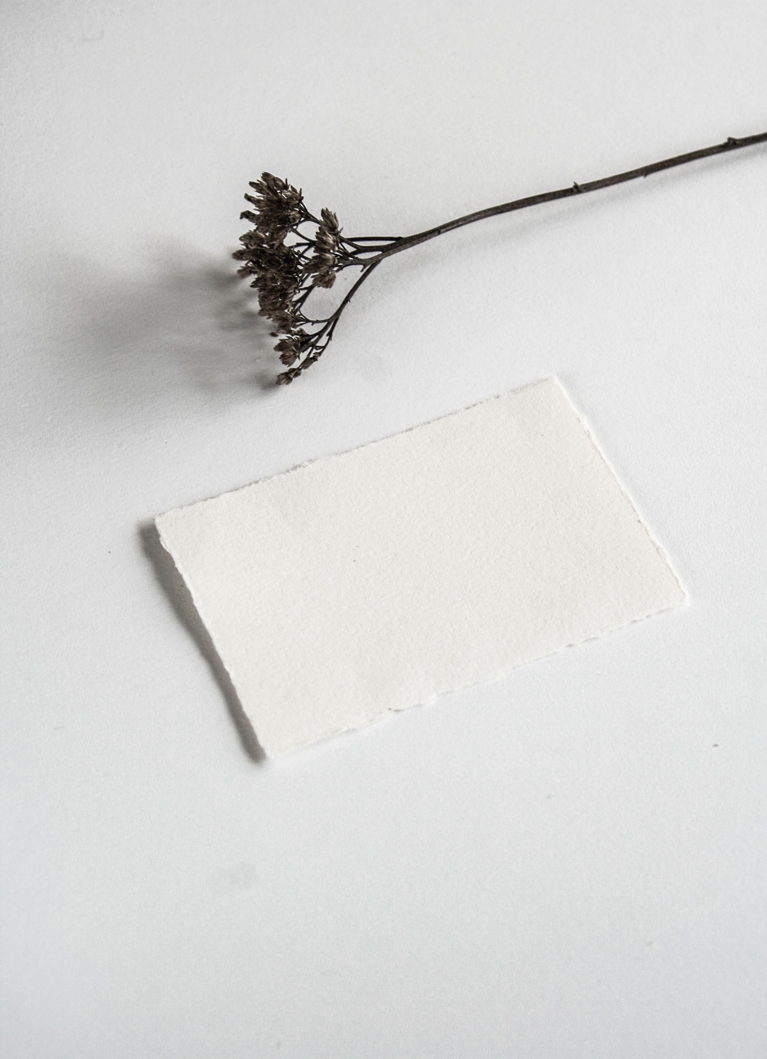 Edge Of Paper Photos, Download The BEST Free Edge Of Paper Stock Photos ...