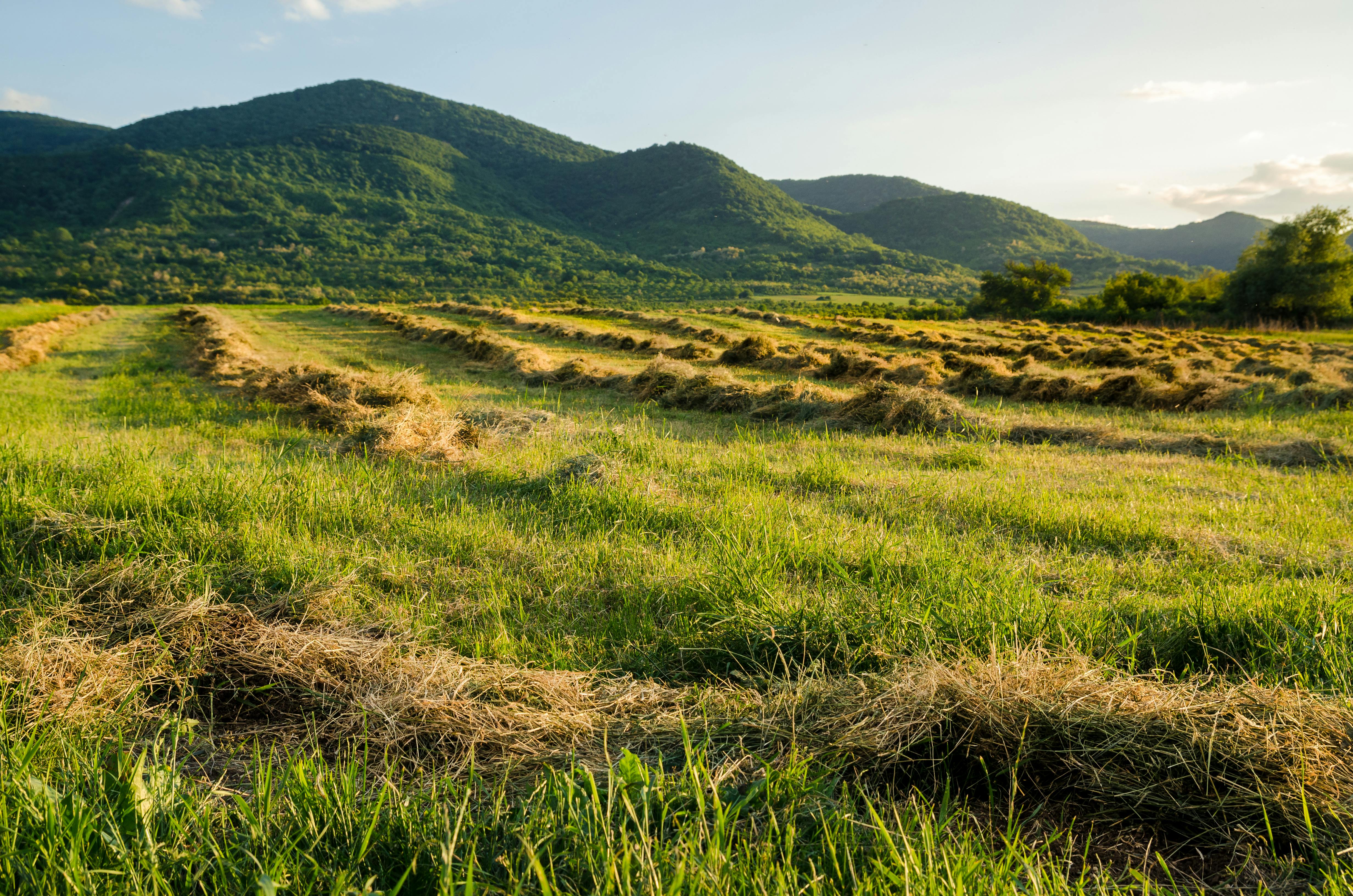 Brown Mountain and Brown Grass Field · Free Stock Photo