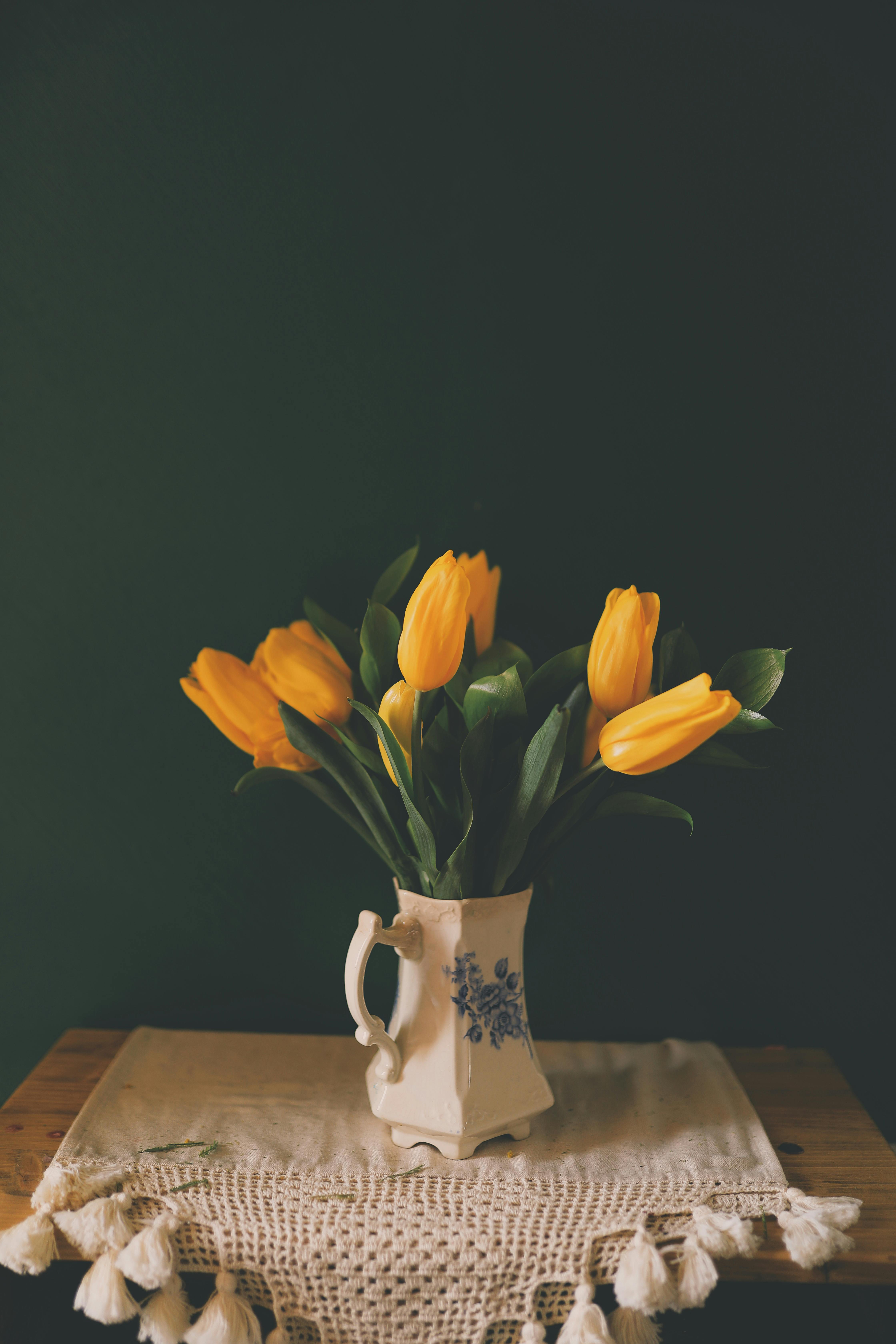 Mellow Yellow Flowers Photos, Download The BEST Free Mellow Yellow ...