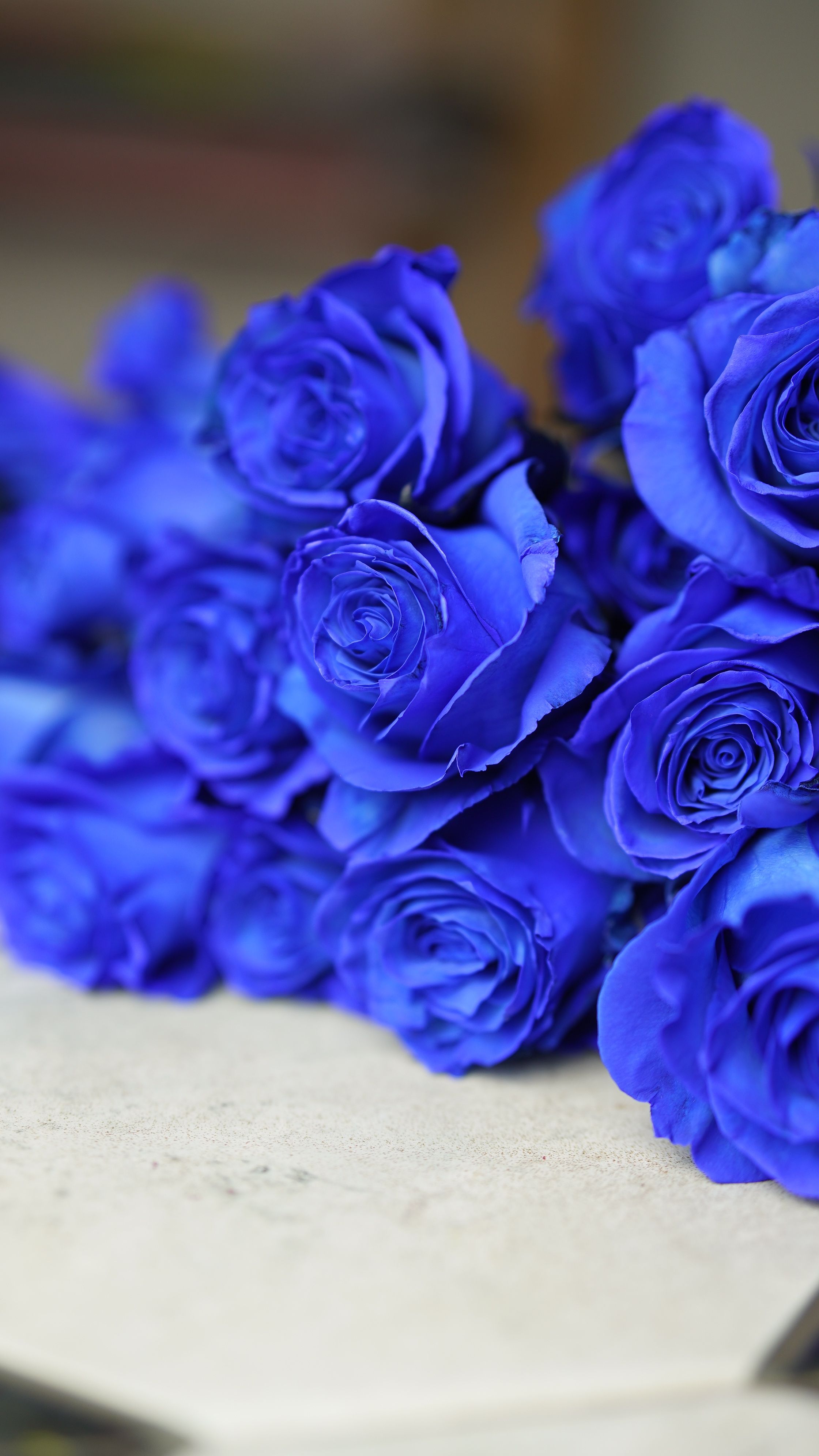 Rosas azules a domicilio en Madrid Hoy | Compra rosa azul natural