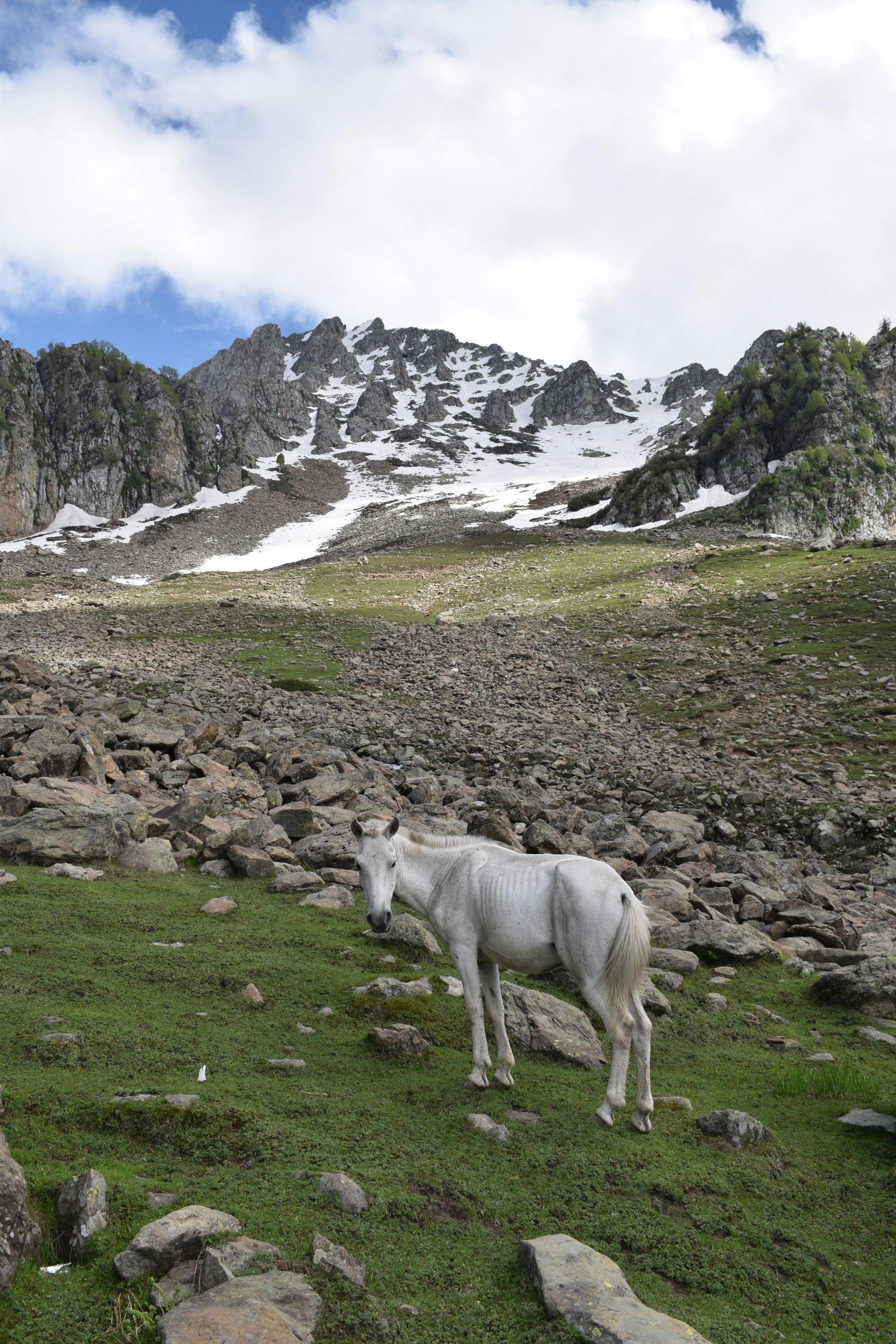 Snow Mountain Animation Photos, Download The BEST Free Snow Mountain ...