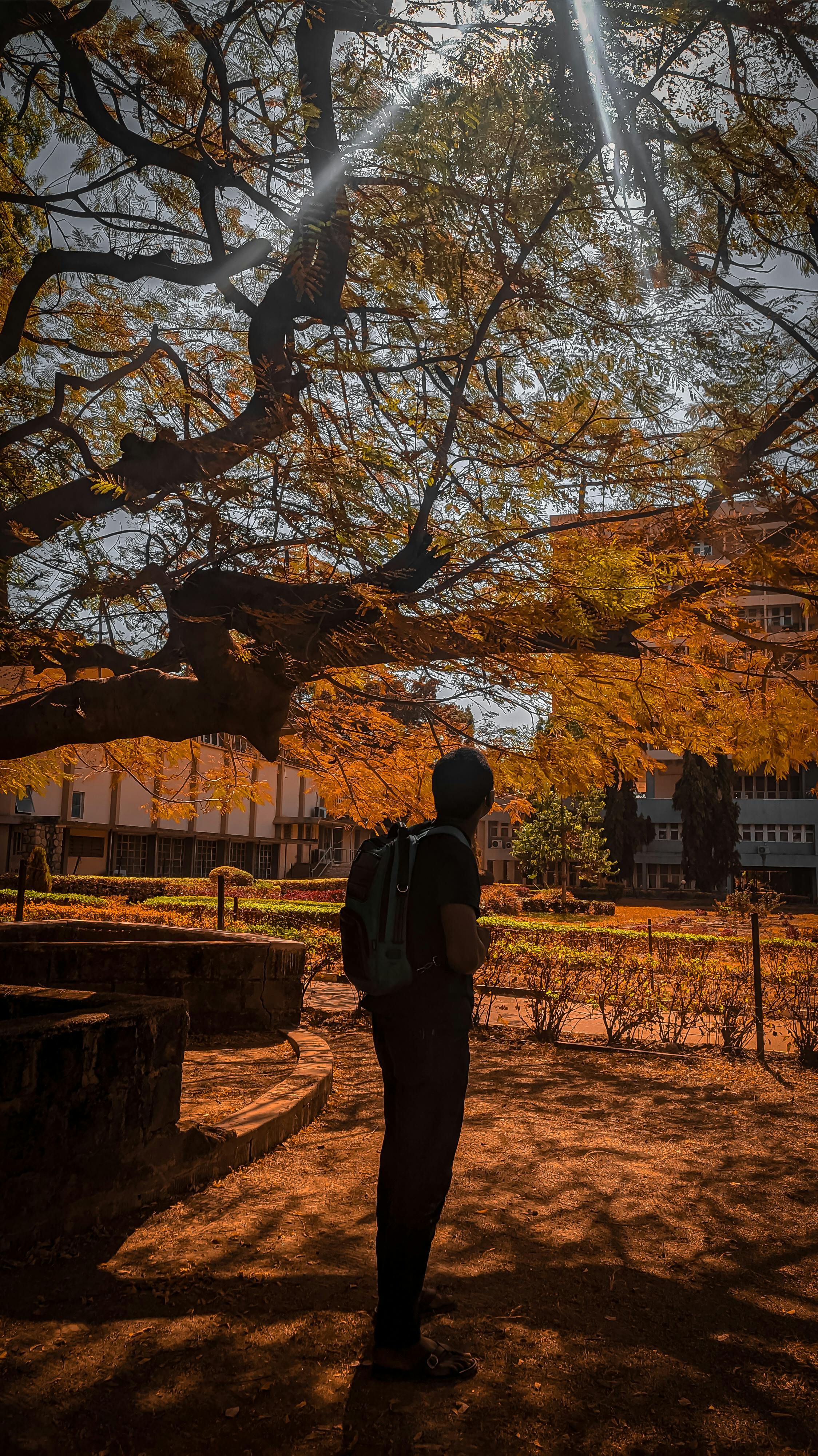 Mubarak Hamza - 摄影