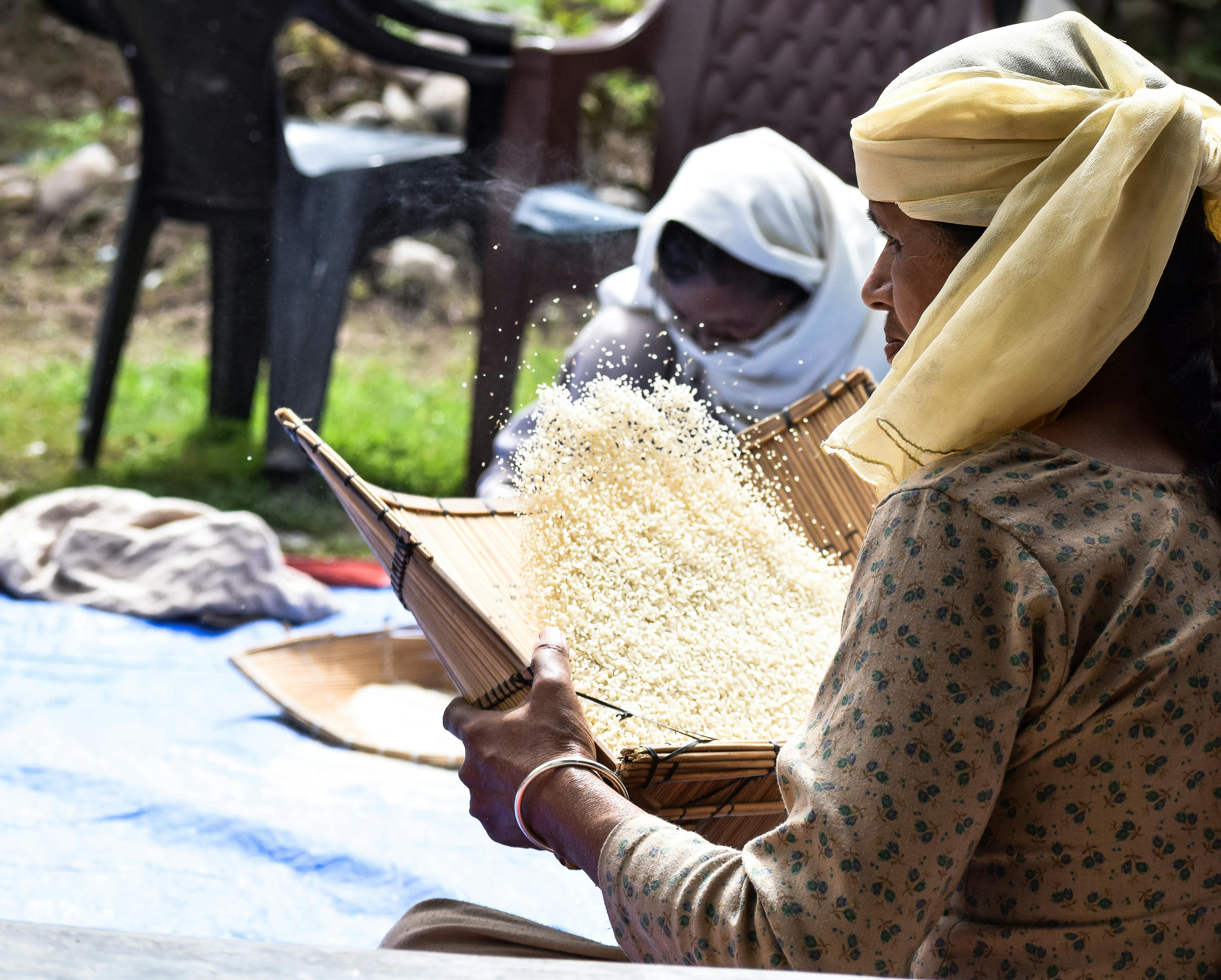 Woman Winnowing Rice · Free Stock Photo