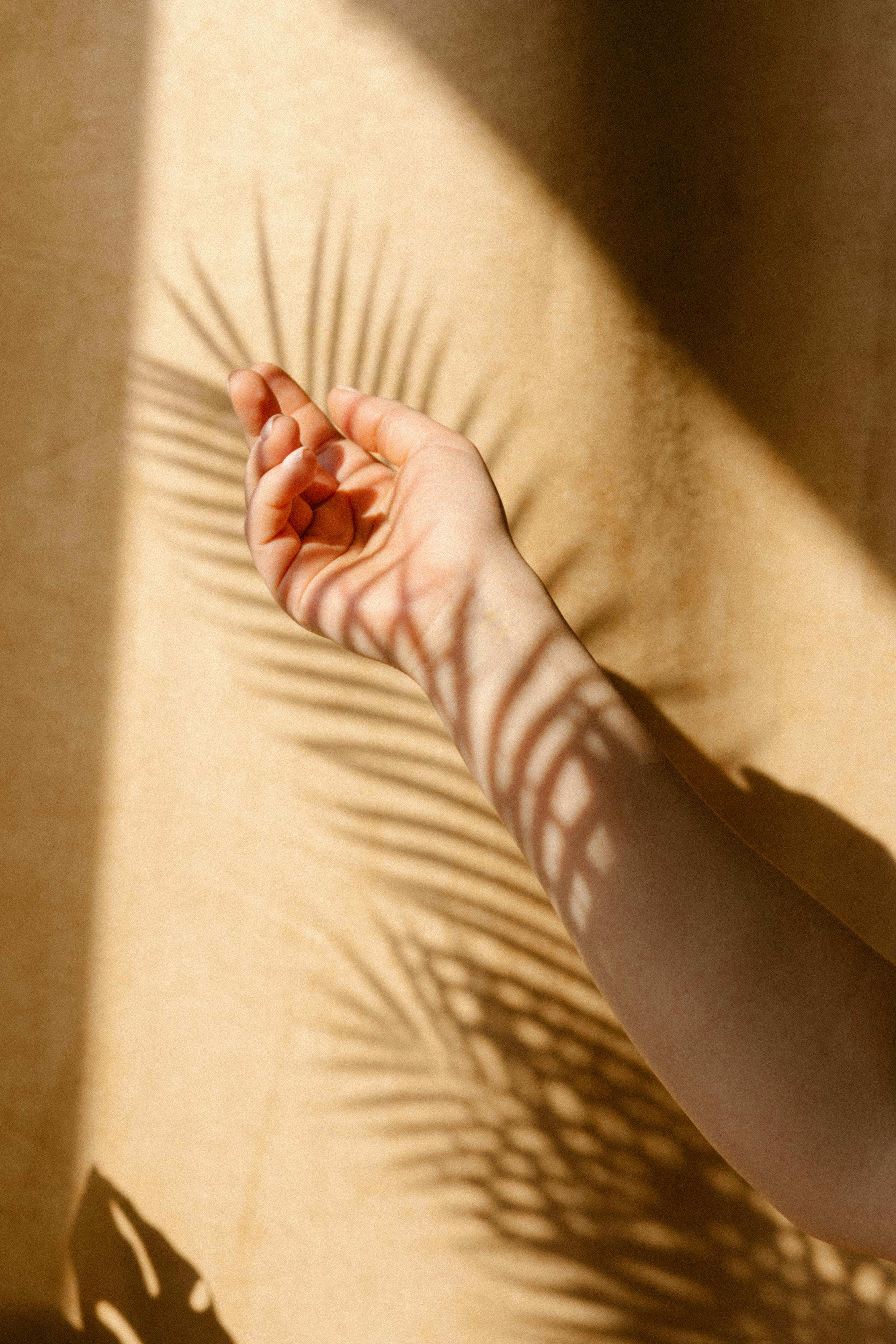 Person's Hand Against White Background · Free Stock Photo