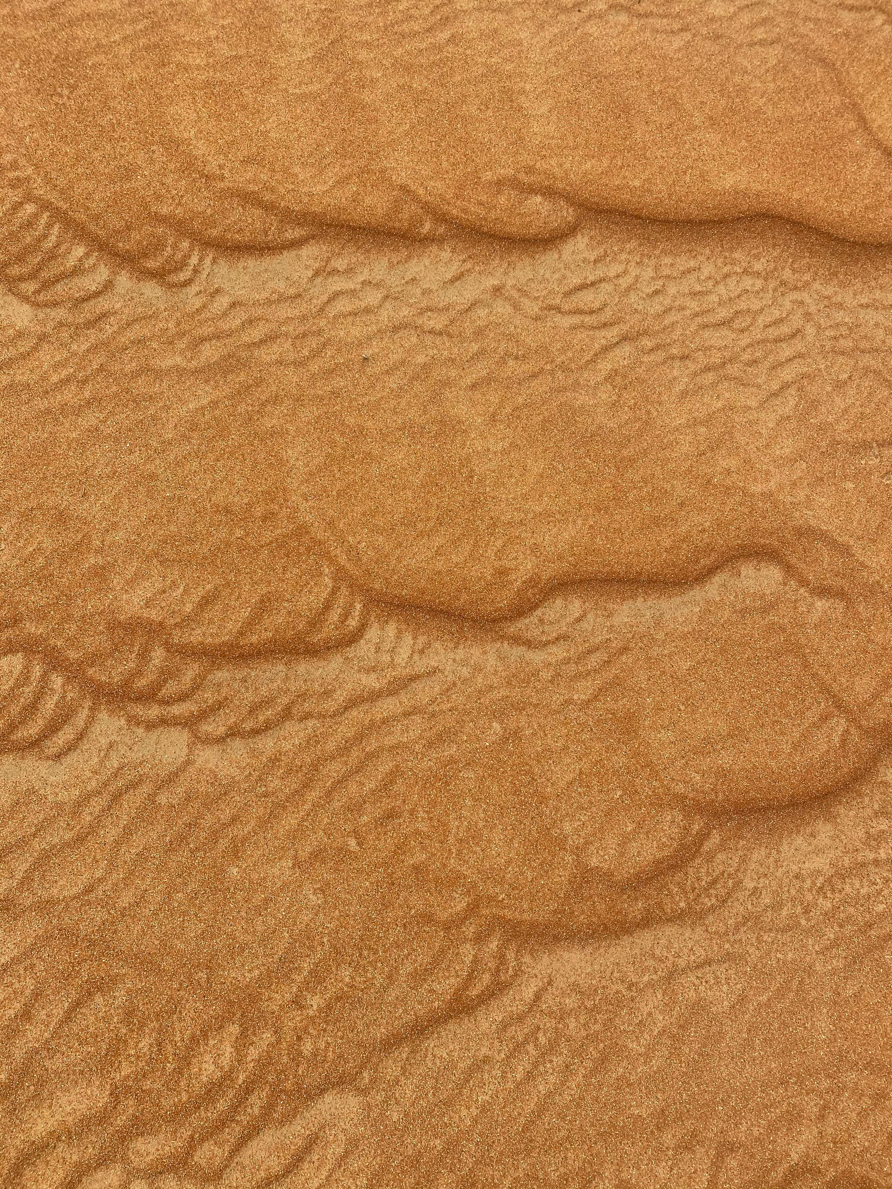 Textured sandy surface in desert · Free Stock Photo