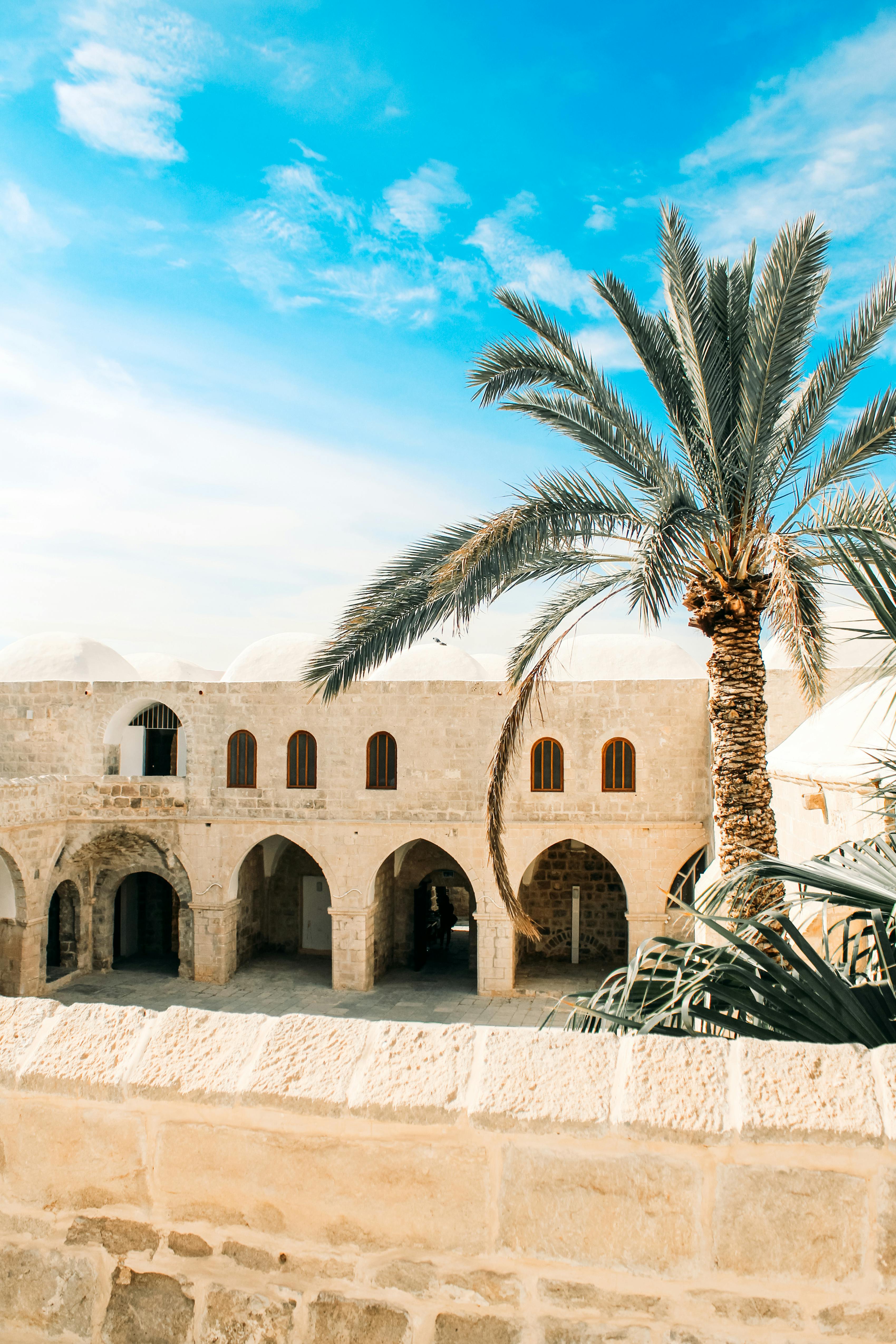 Palm Tree Growing in a Courtyard of Prophet Moses Shrine, Jericho ...