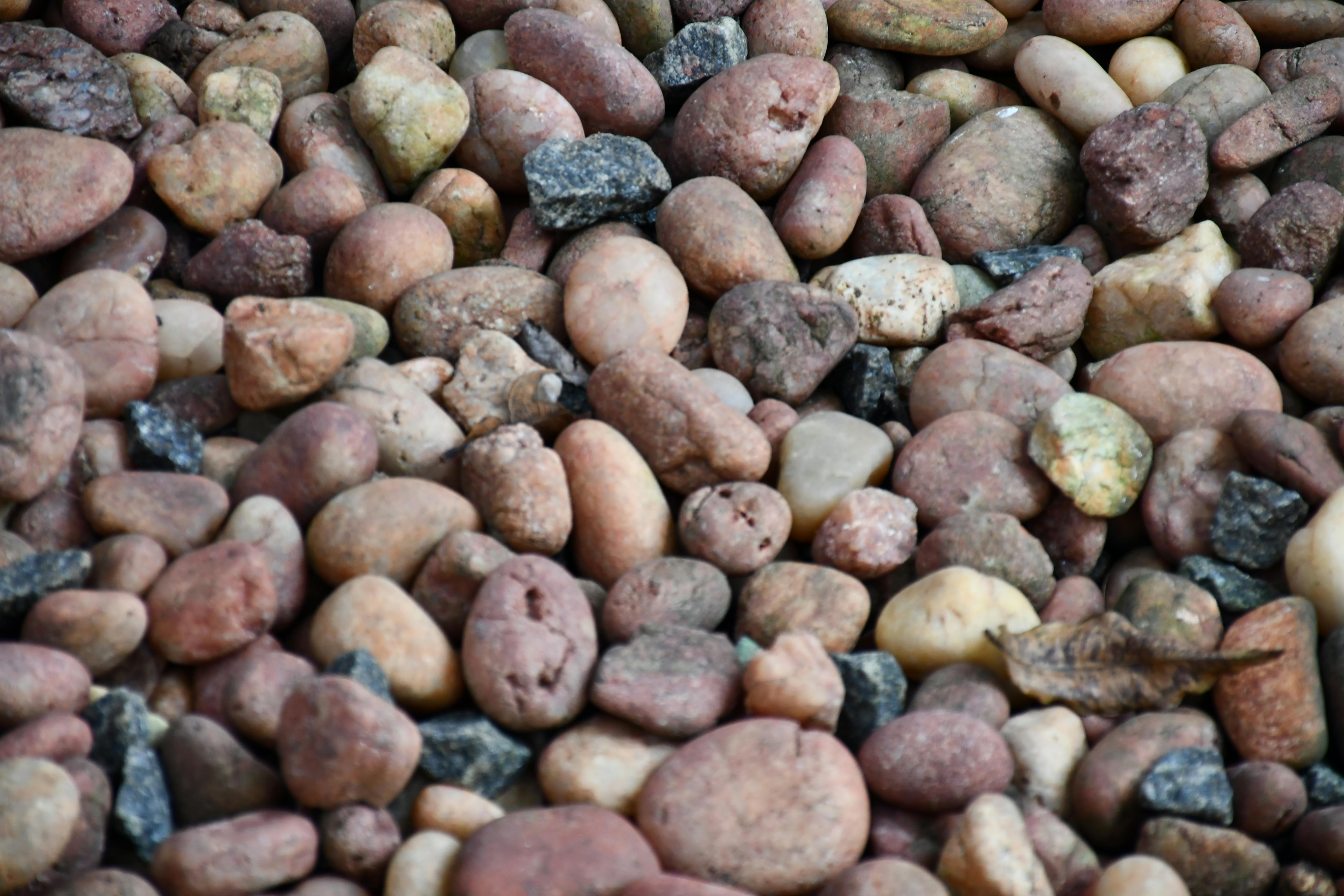 Close-Up Photo of Pebbles · Free Stock Photo