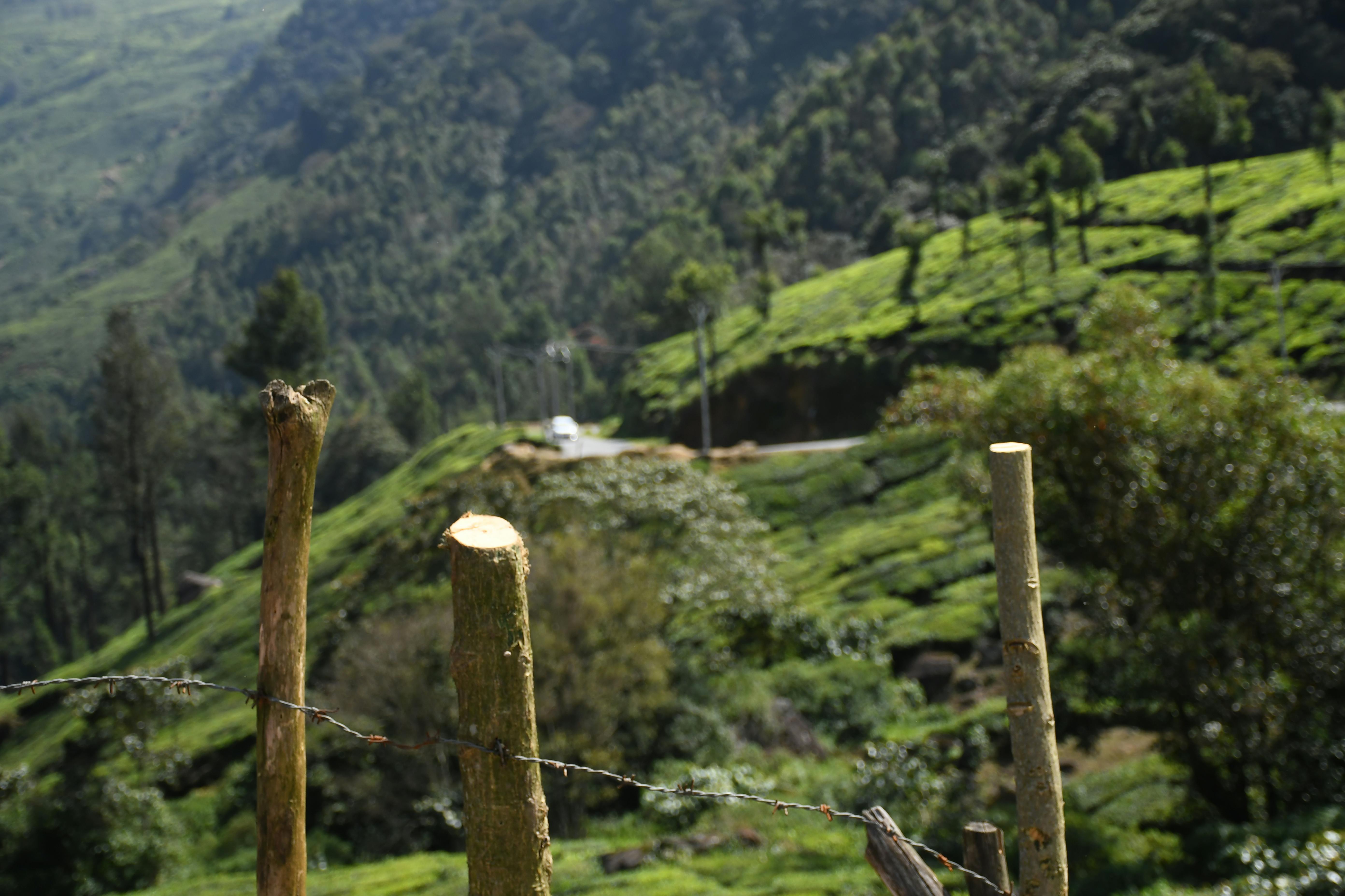 Pravin Kumar - 사진