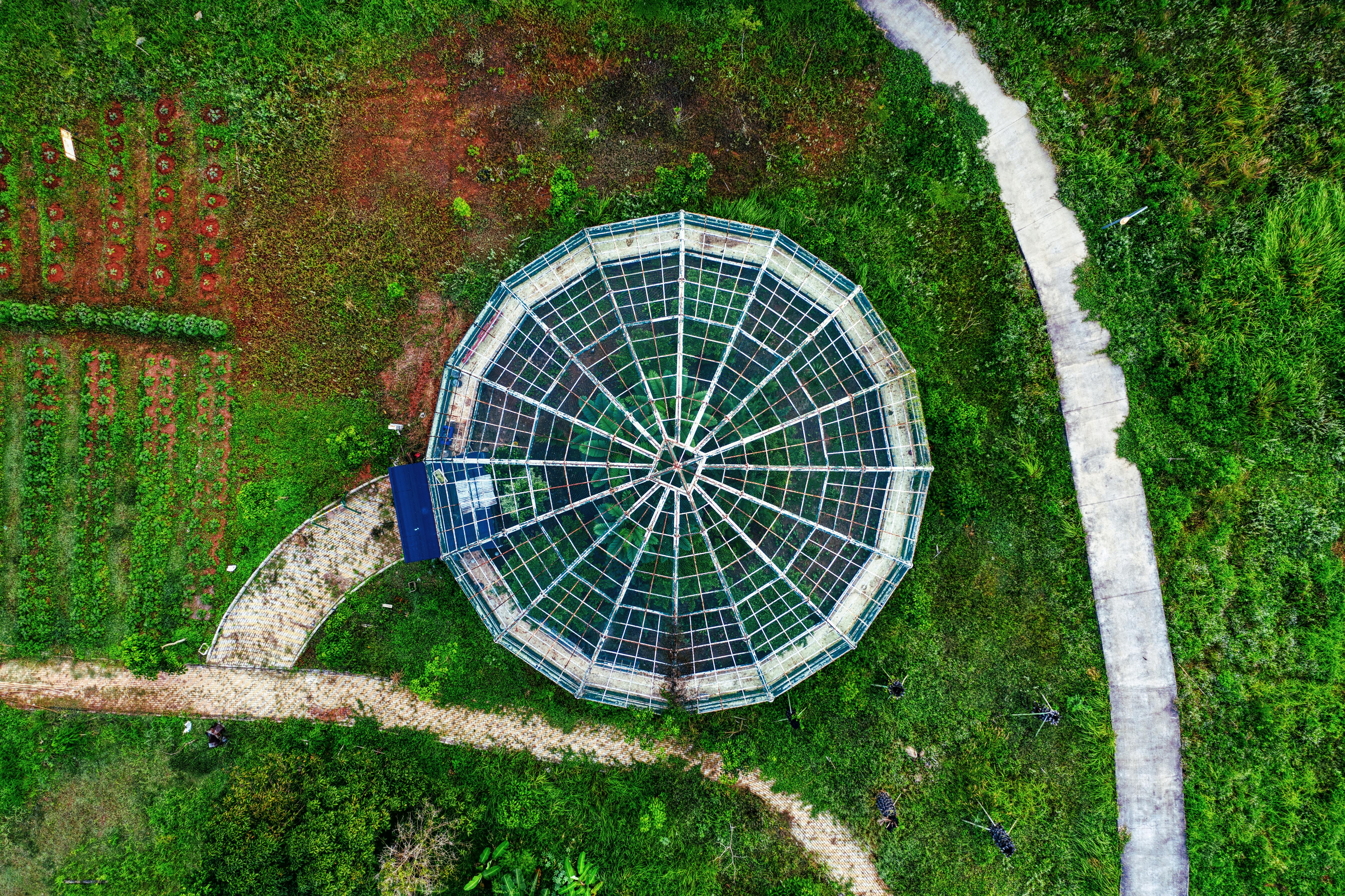 An Overhead Shot of a Greenhouse · Free Stock Photo