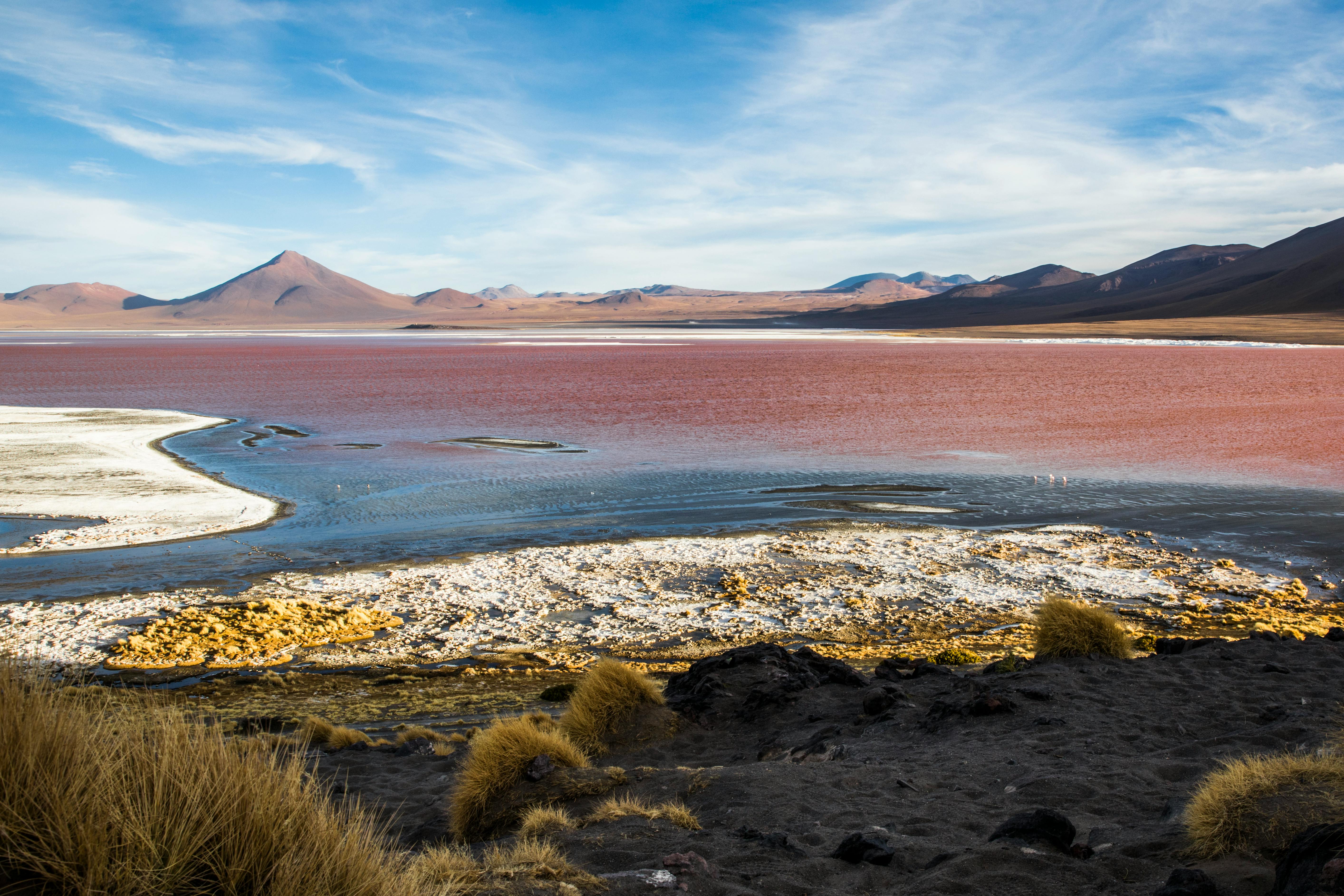 The Red Water of the Laguna Colorada · Free Stock Photo