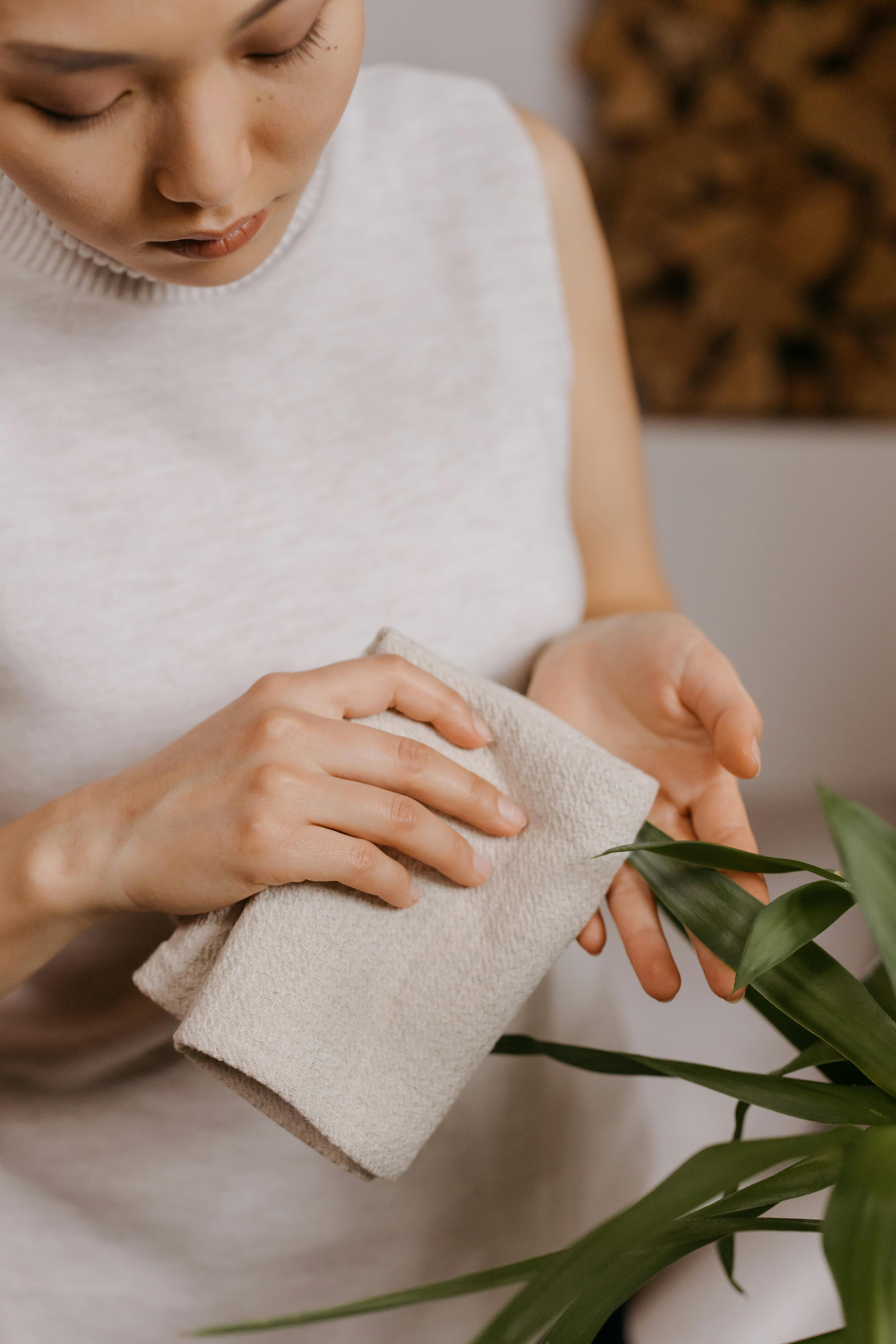 Person Wiping Green Plant in Brown Clay Pot · Free Stock Photo