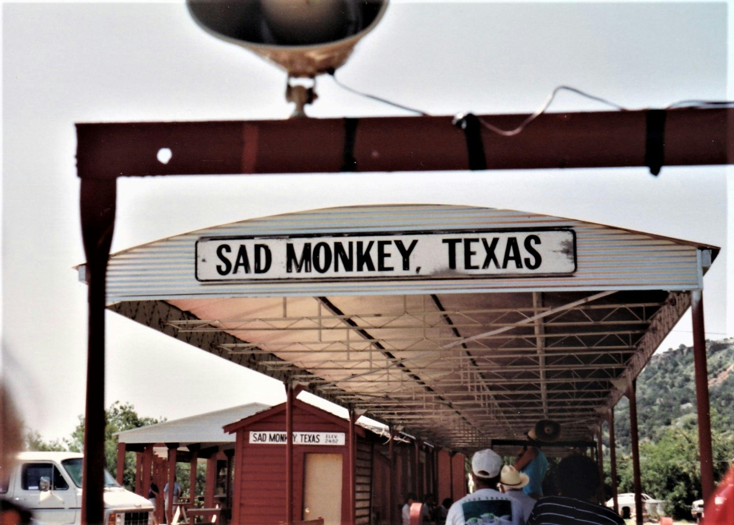 Sad Monkey Texas Photos, Download Free Sad Monkey Texas Stock Photos ...