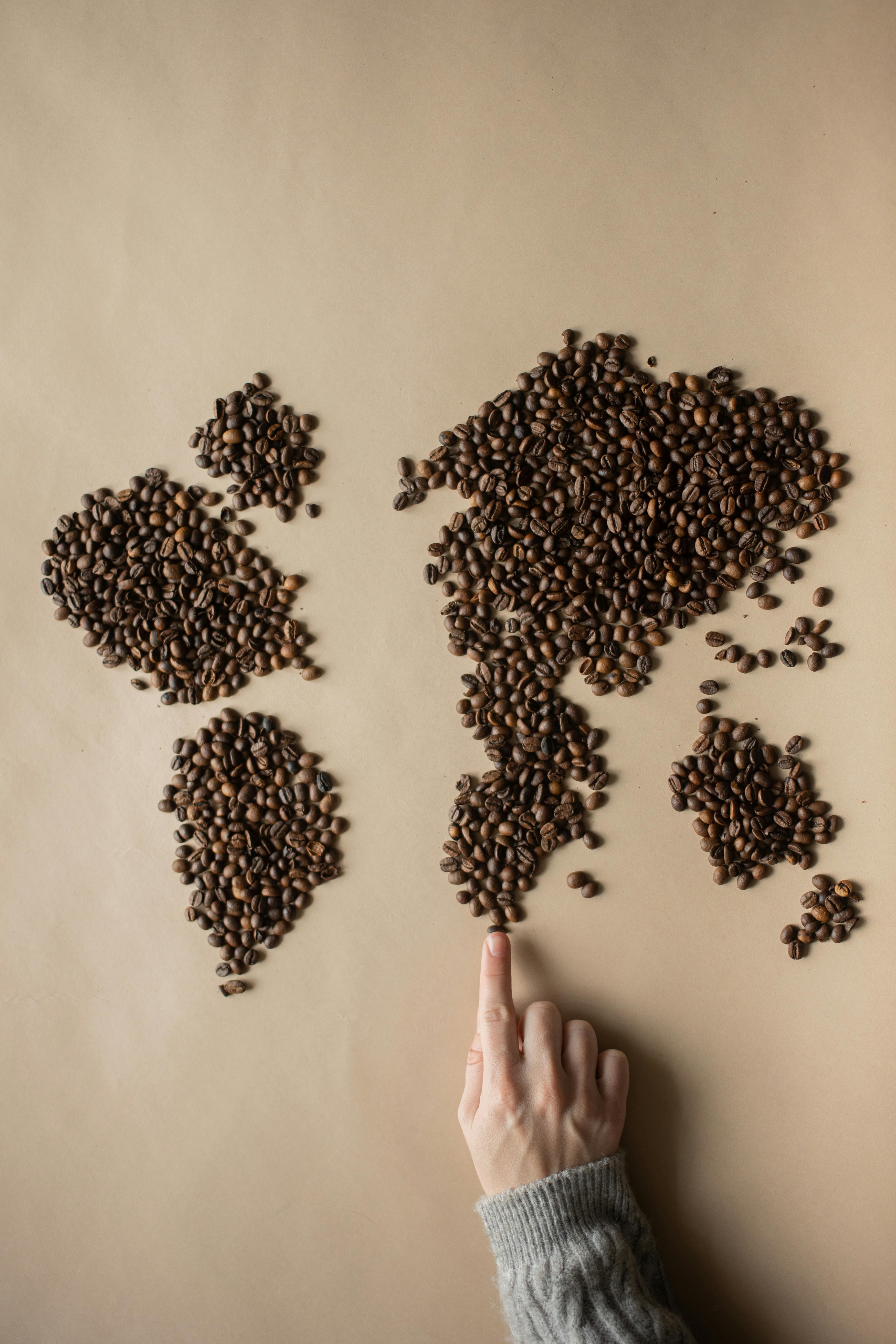 Anonymous person making world map with cereals and coffee beans · Free ...