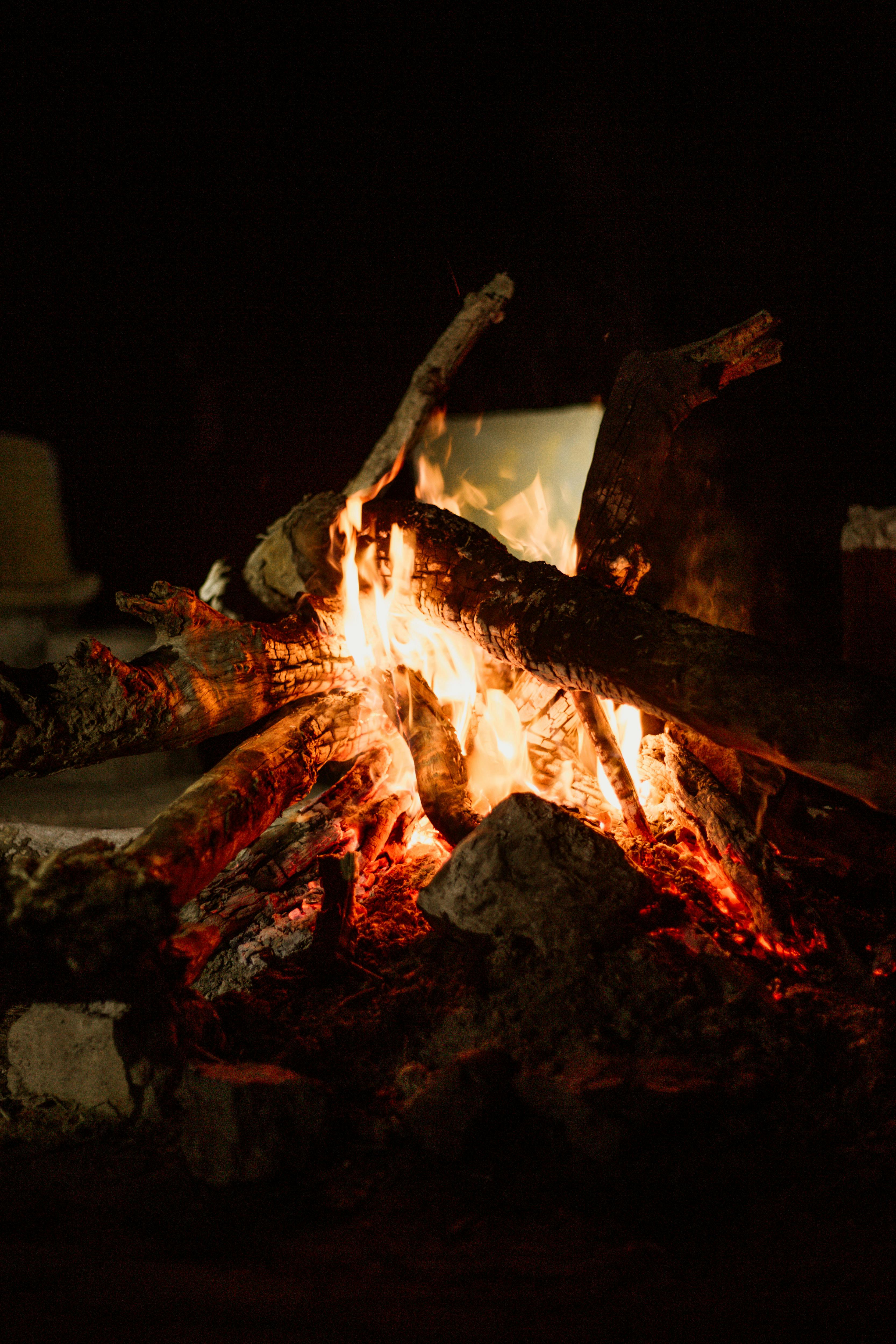 Tree twigs burning in glowing fire at dusk · Free Stock Photo