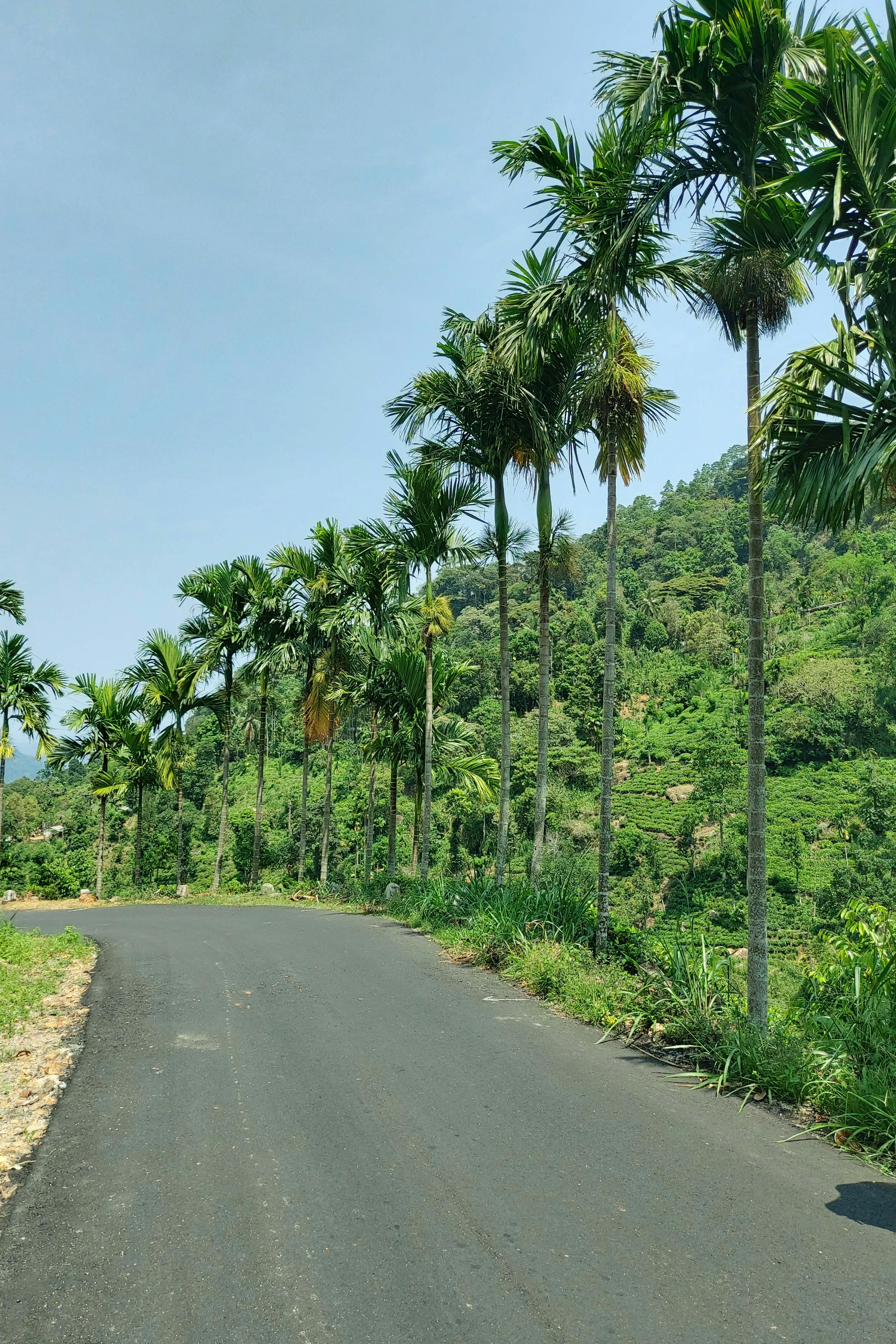 Chanaka Perera - Fotografía