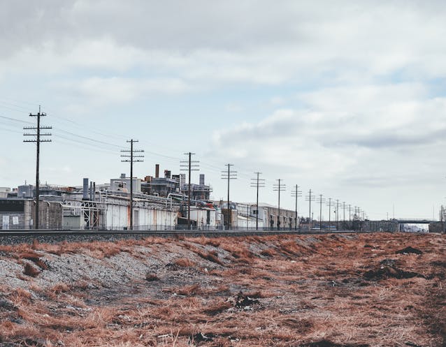 Andrew Carnegie Vertical or Horizontal Integration