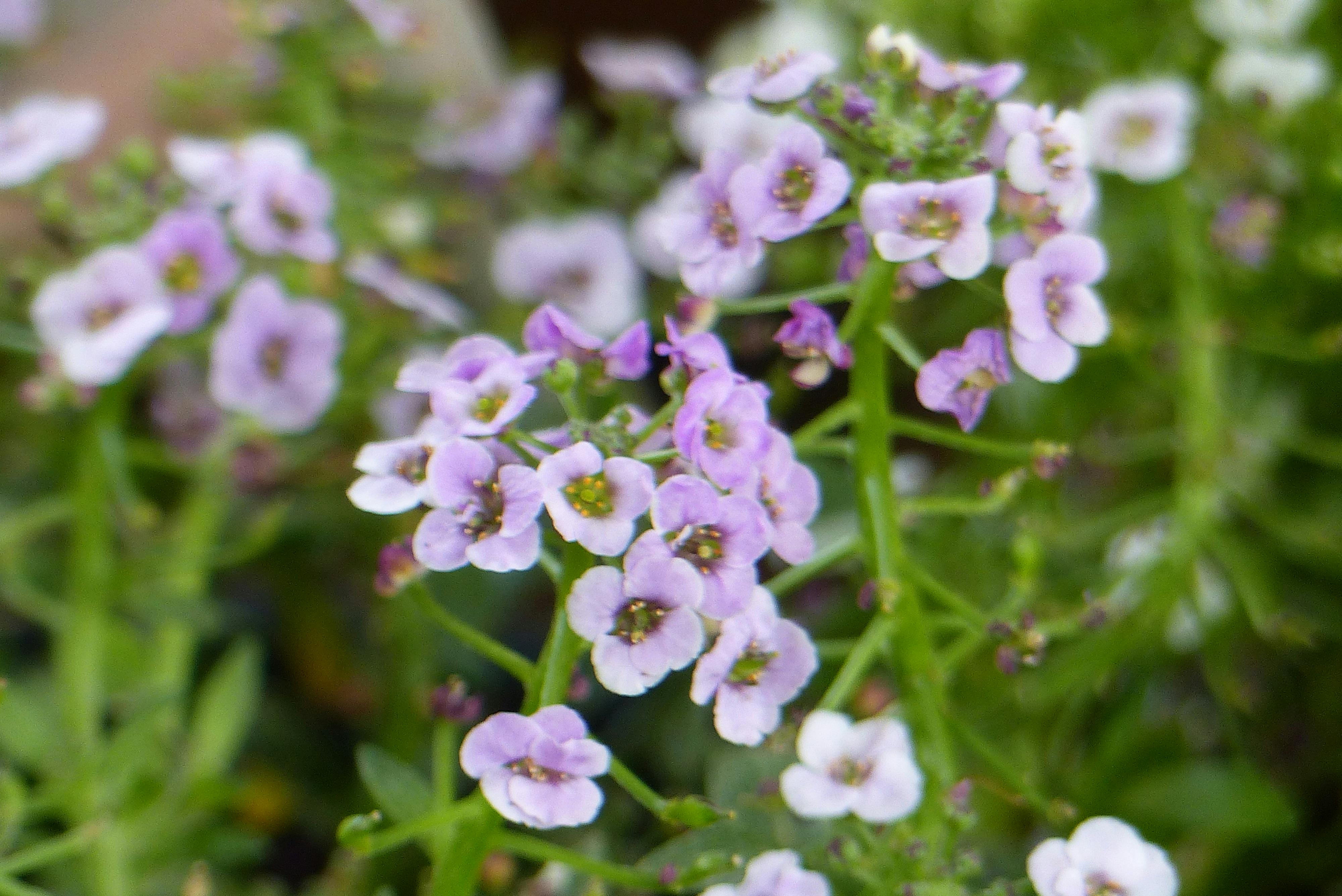 Ductwork Industry Logo Design Ideas – Logomakershop Blog