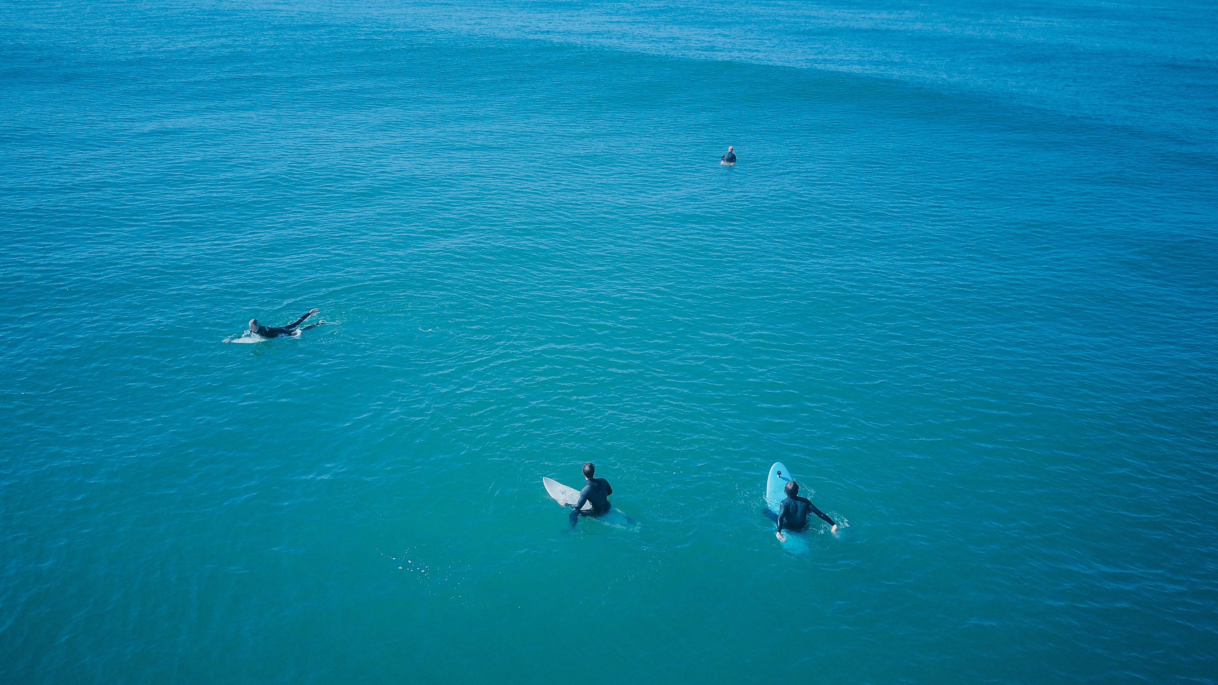 Surfing on Ocean · Free Stock Photo