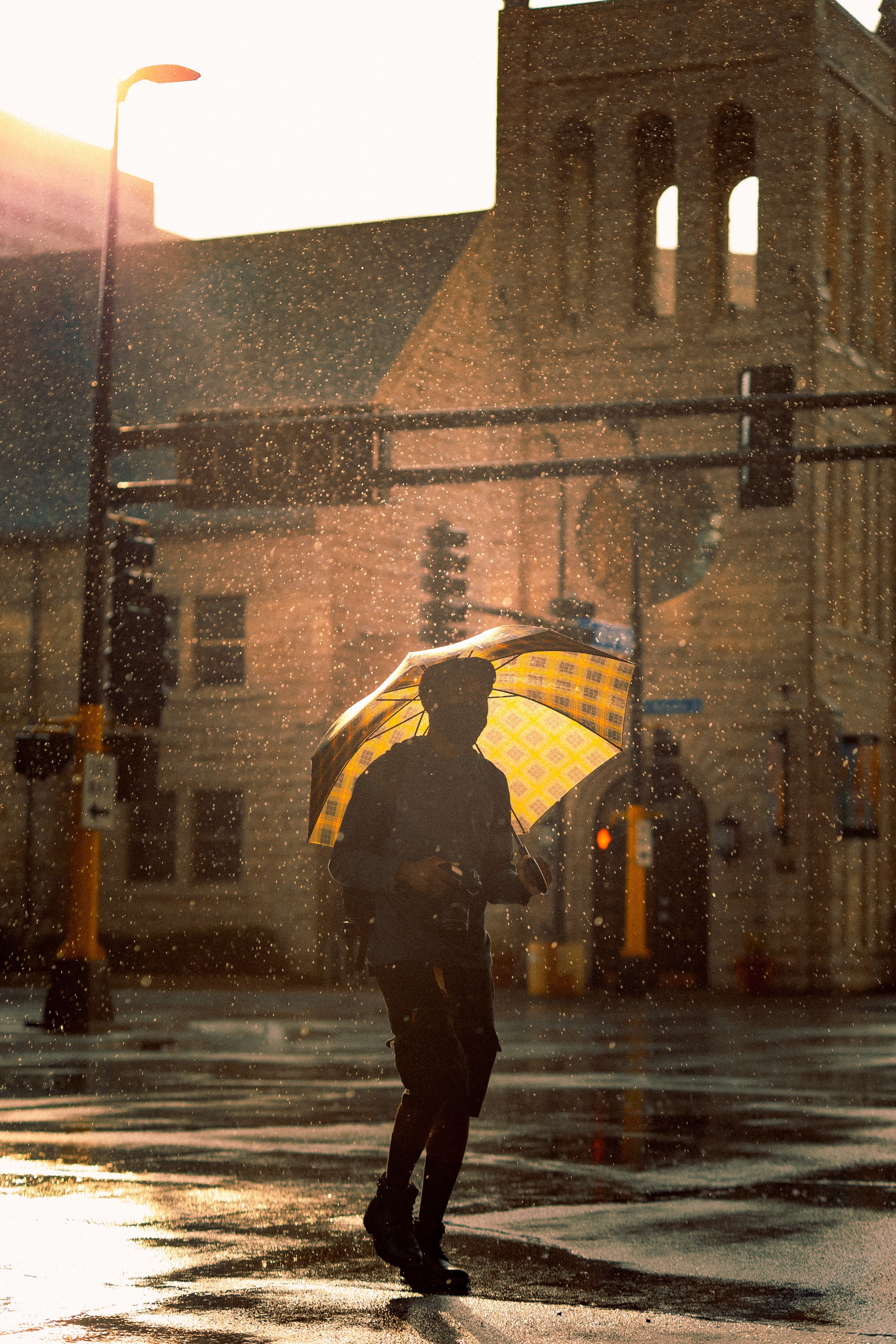 Photograph of a Woman Holding a Clear Umbrella · Free Stock Photo