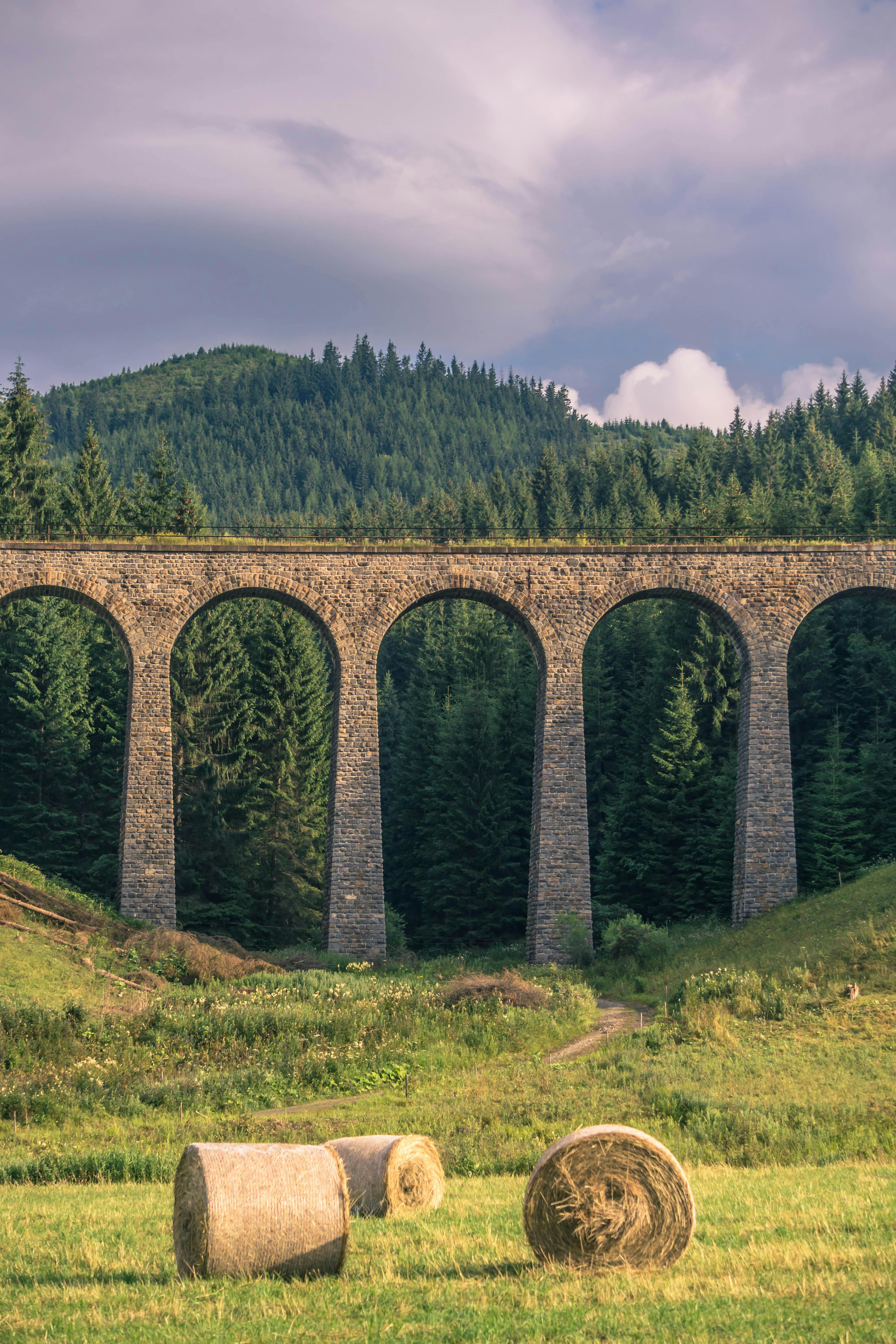 A Bridge Over a Grass Field · Free Stock Photo