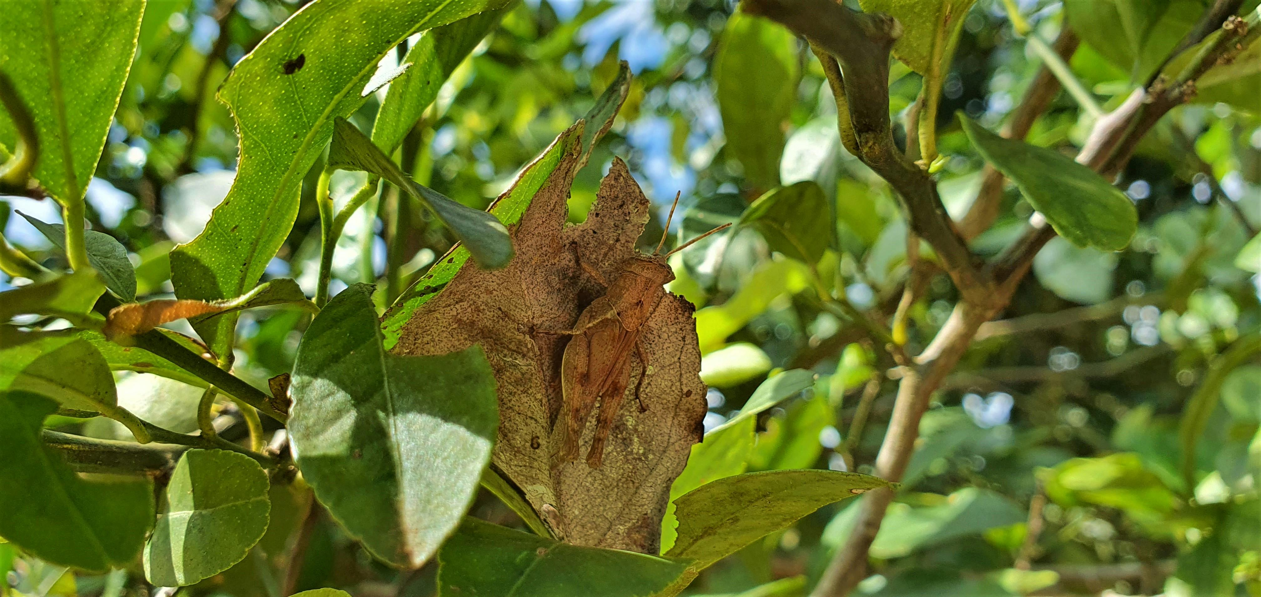 Mariana Delamura Gomes - การถ่ายภาพ