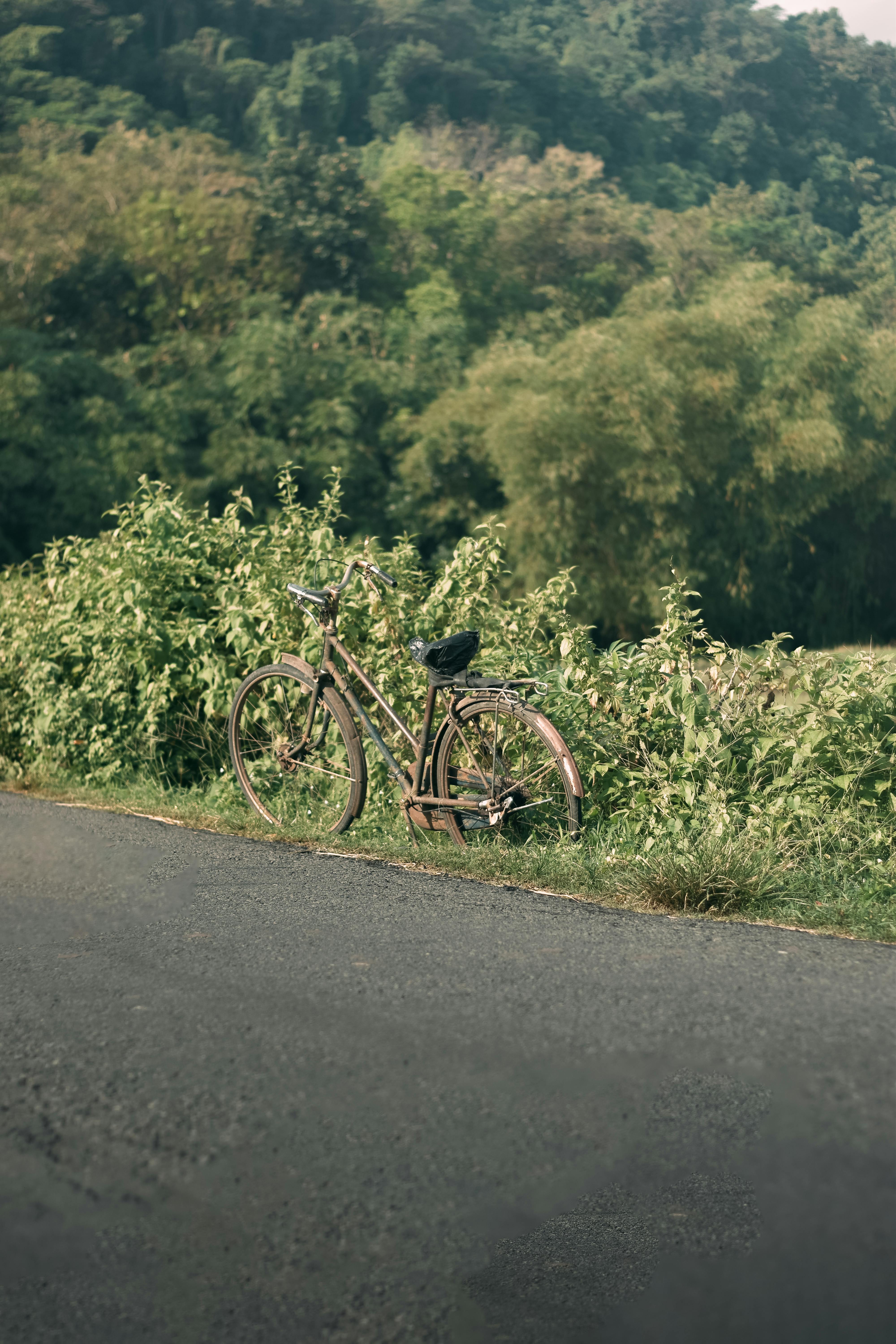 Greenery Road Background Photos, Download The BEST Free Greenery Road ...