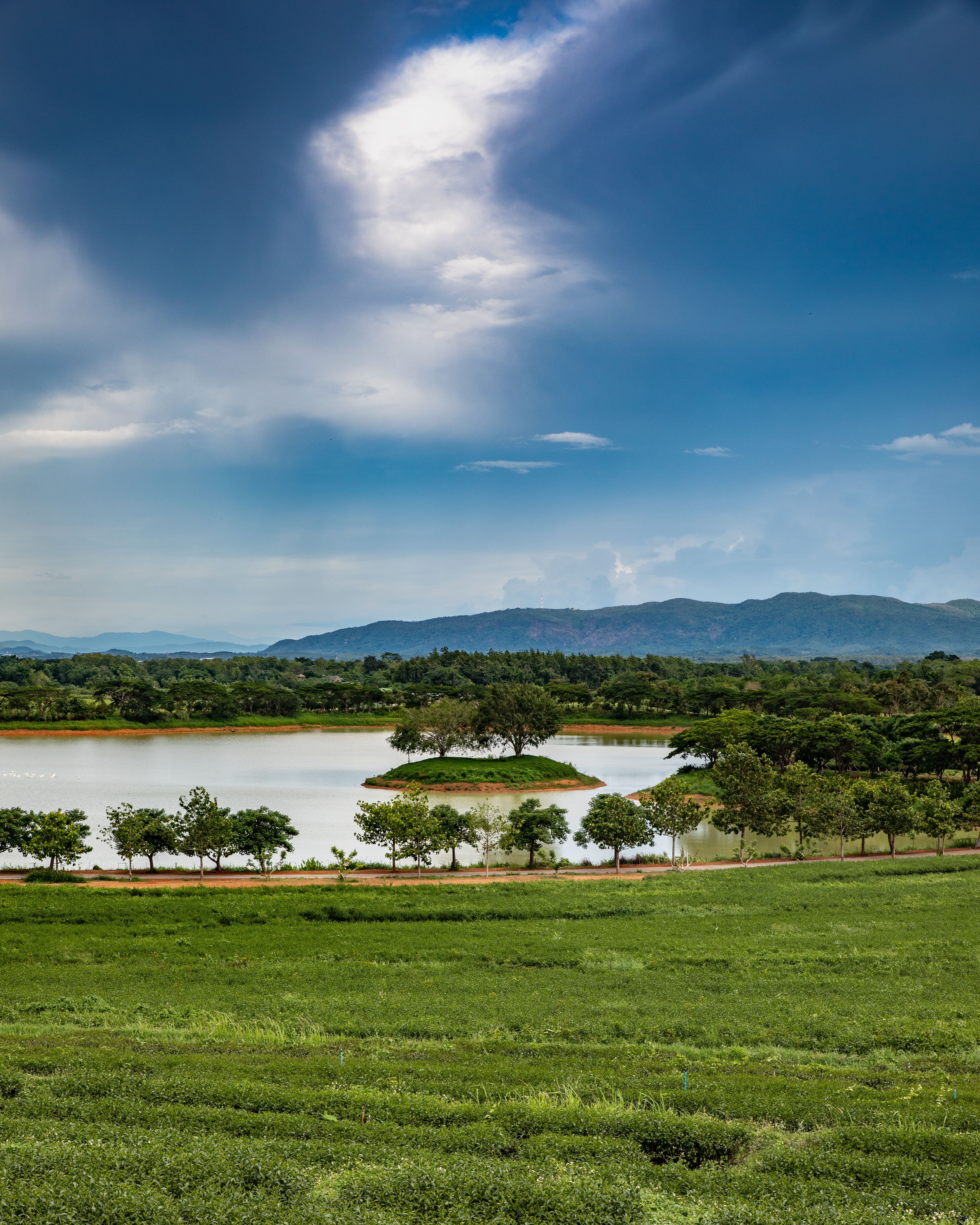 Green Grass Field Near Lake and Mountain · Free Stock Photo