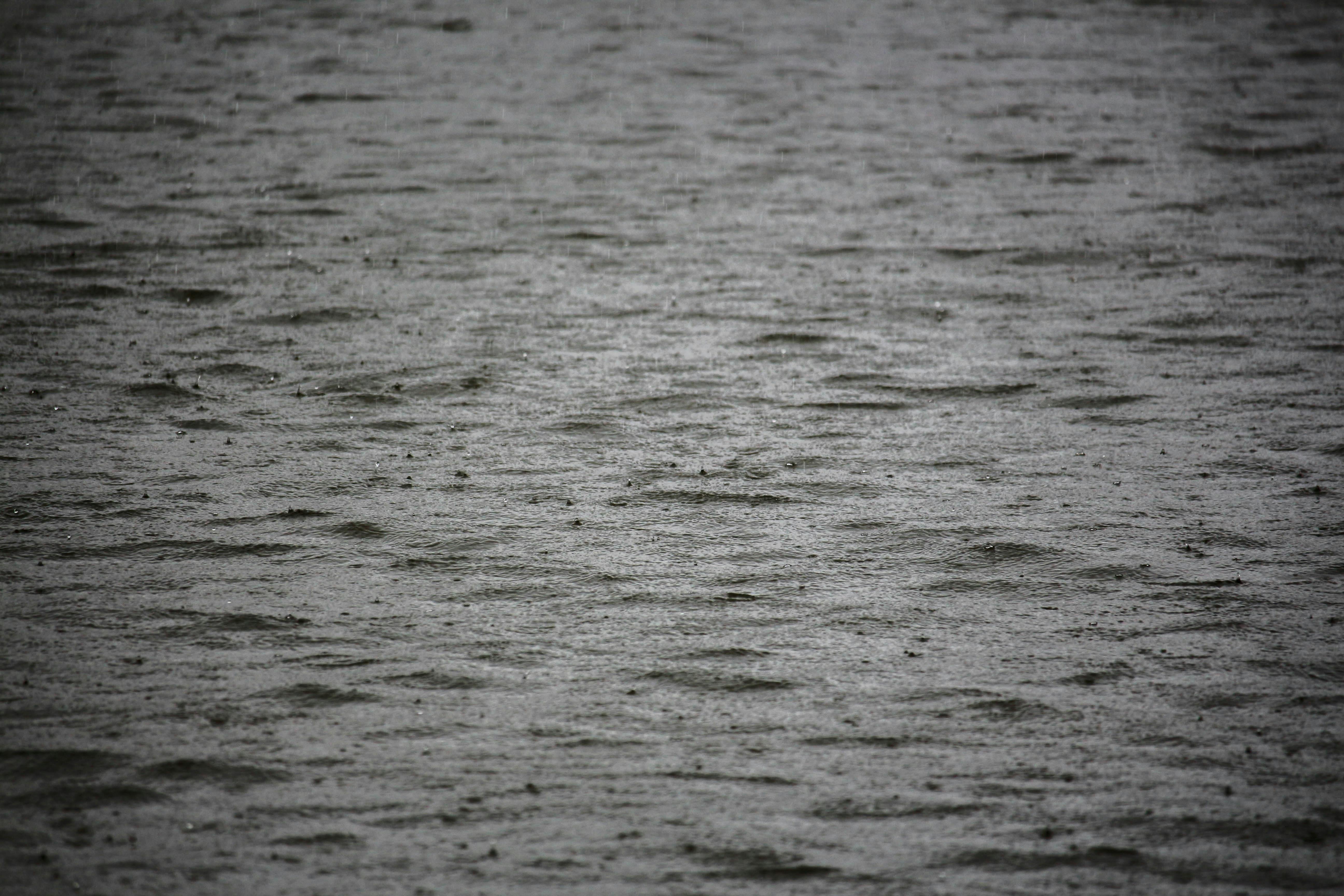 Rain Hitting Water Surface · Free Stock Photo