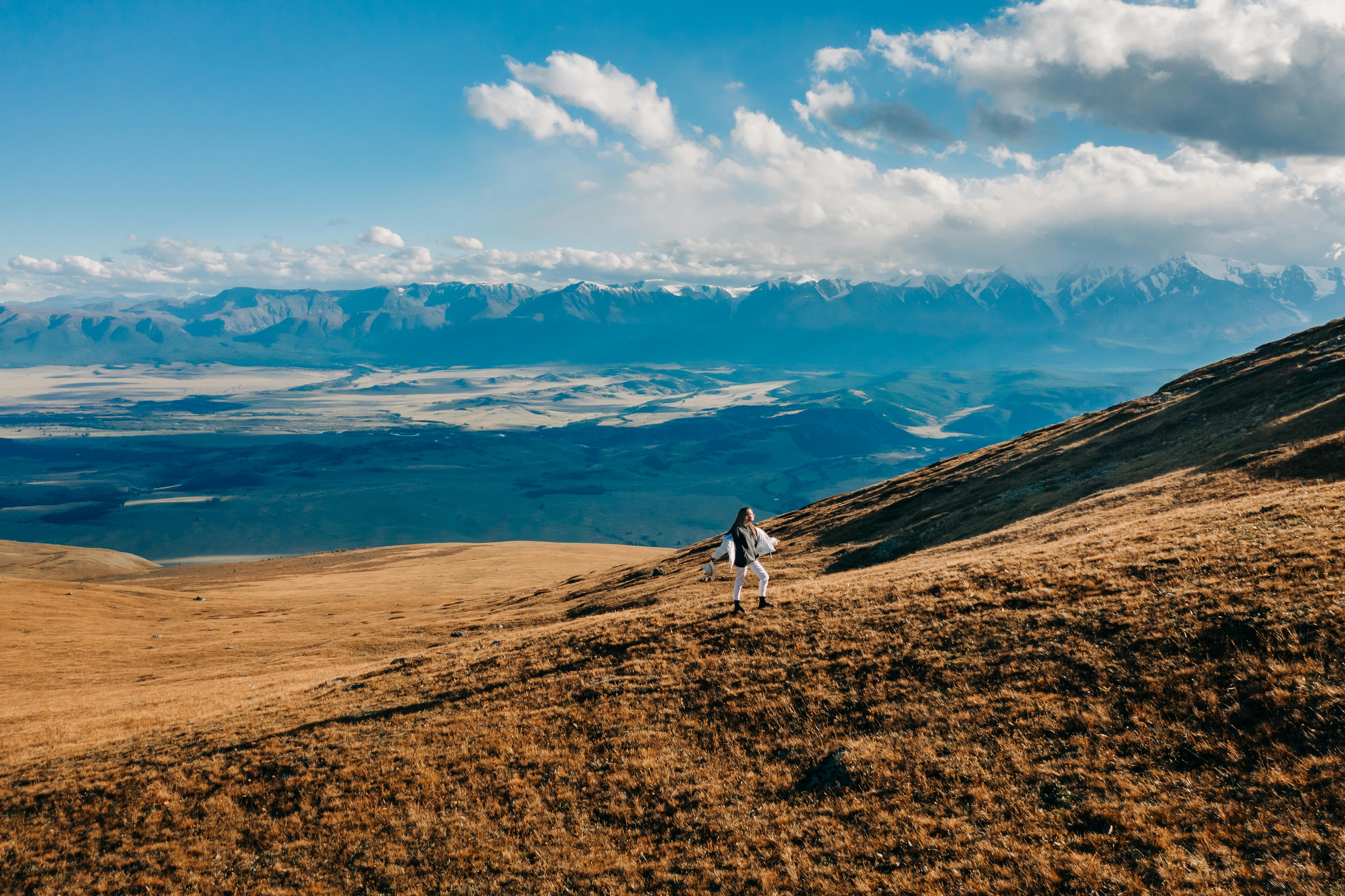 90+ Best Vista Photos · 100% Free Download · Pexels Stock Photos