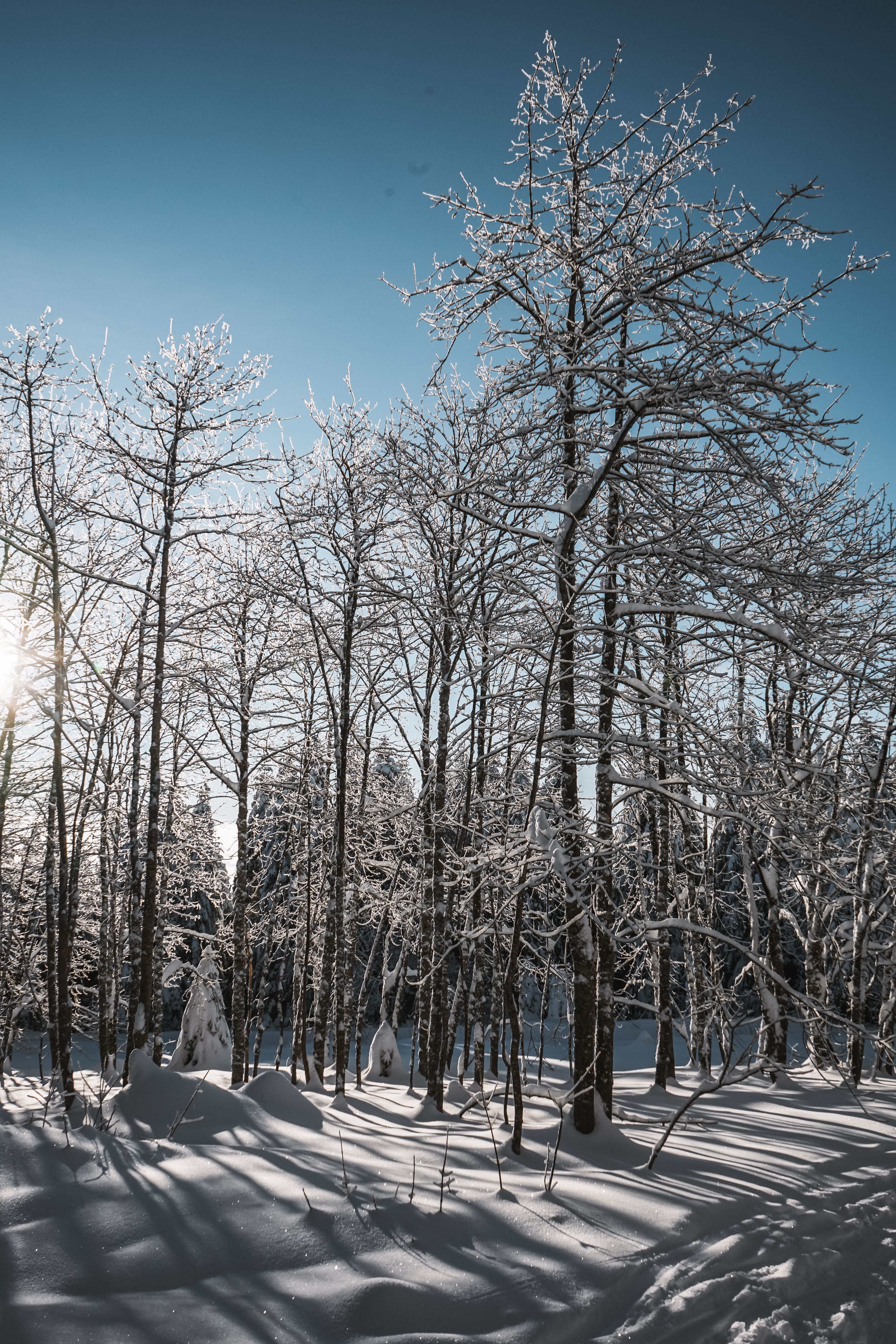 Ice Bullet Photos, Download The BEST Free Ice Bullet Stock Photos & HD ...