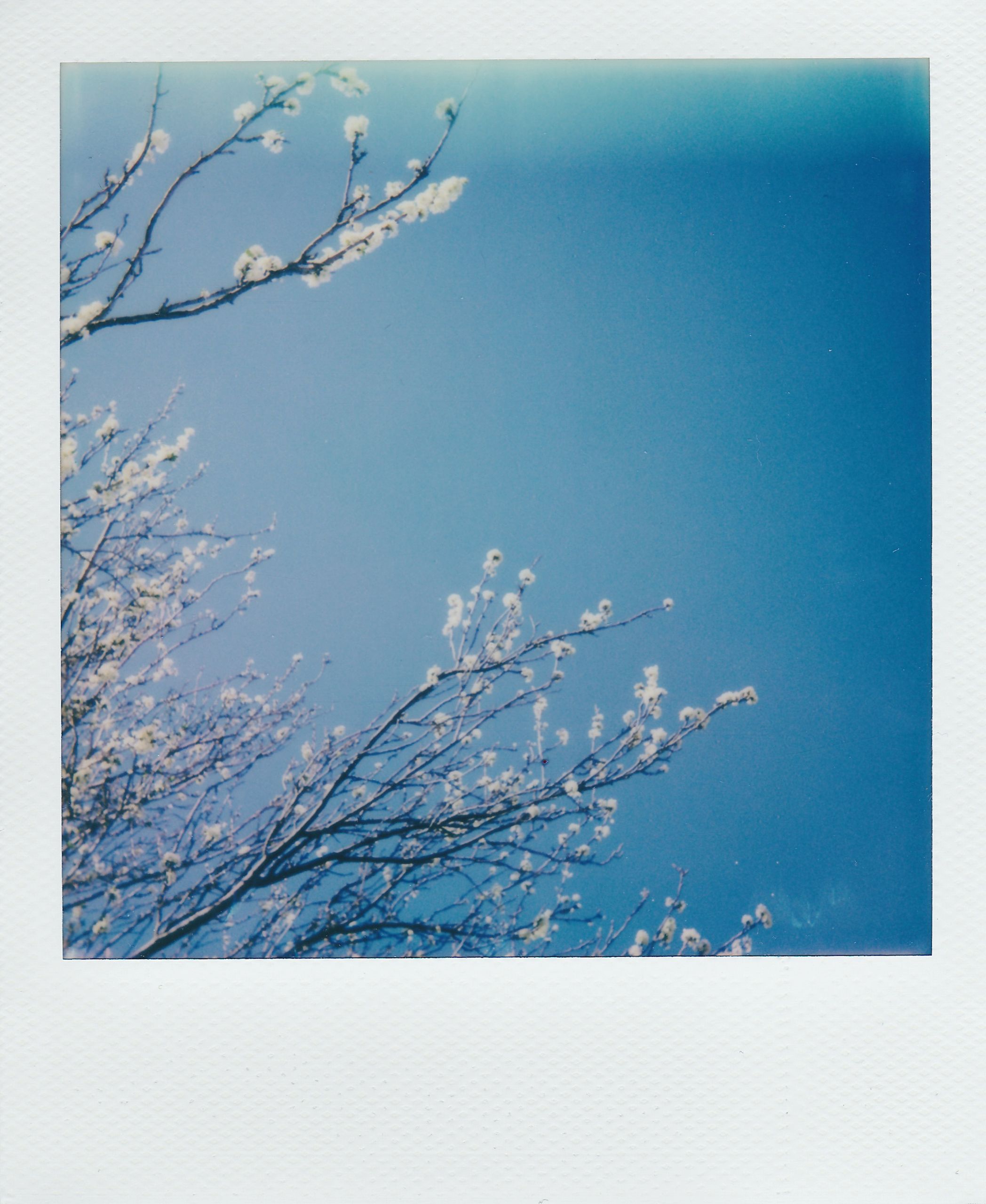 Polaroid Photo of a Street · Free Stock Photo