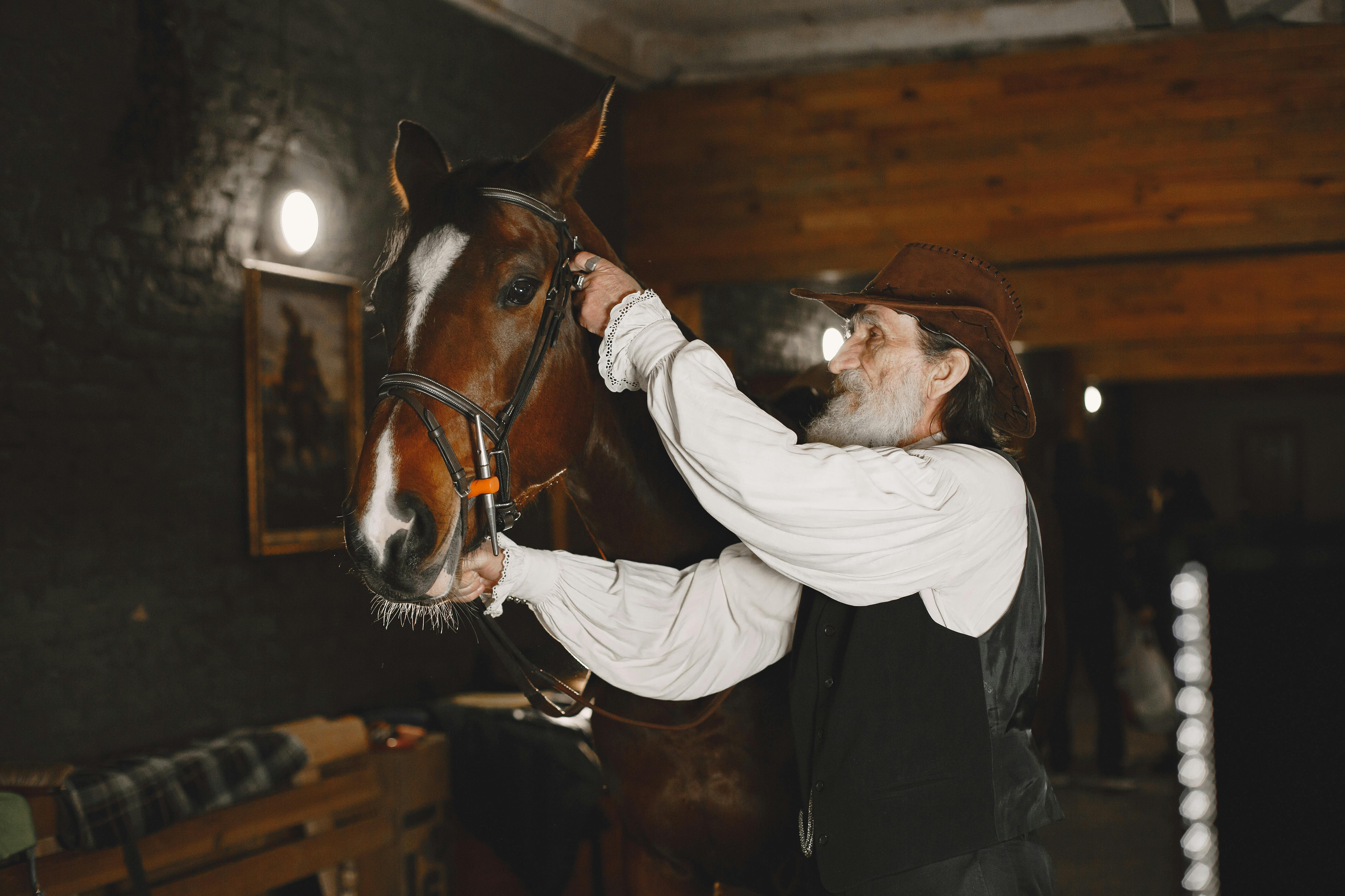 Man on White Horse Next to Dog on Grassy Field · Free Stock Photo