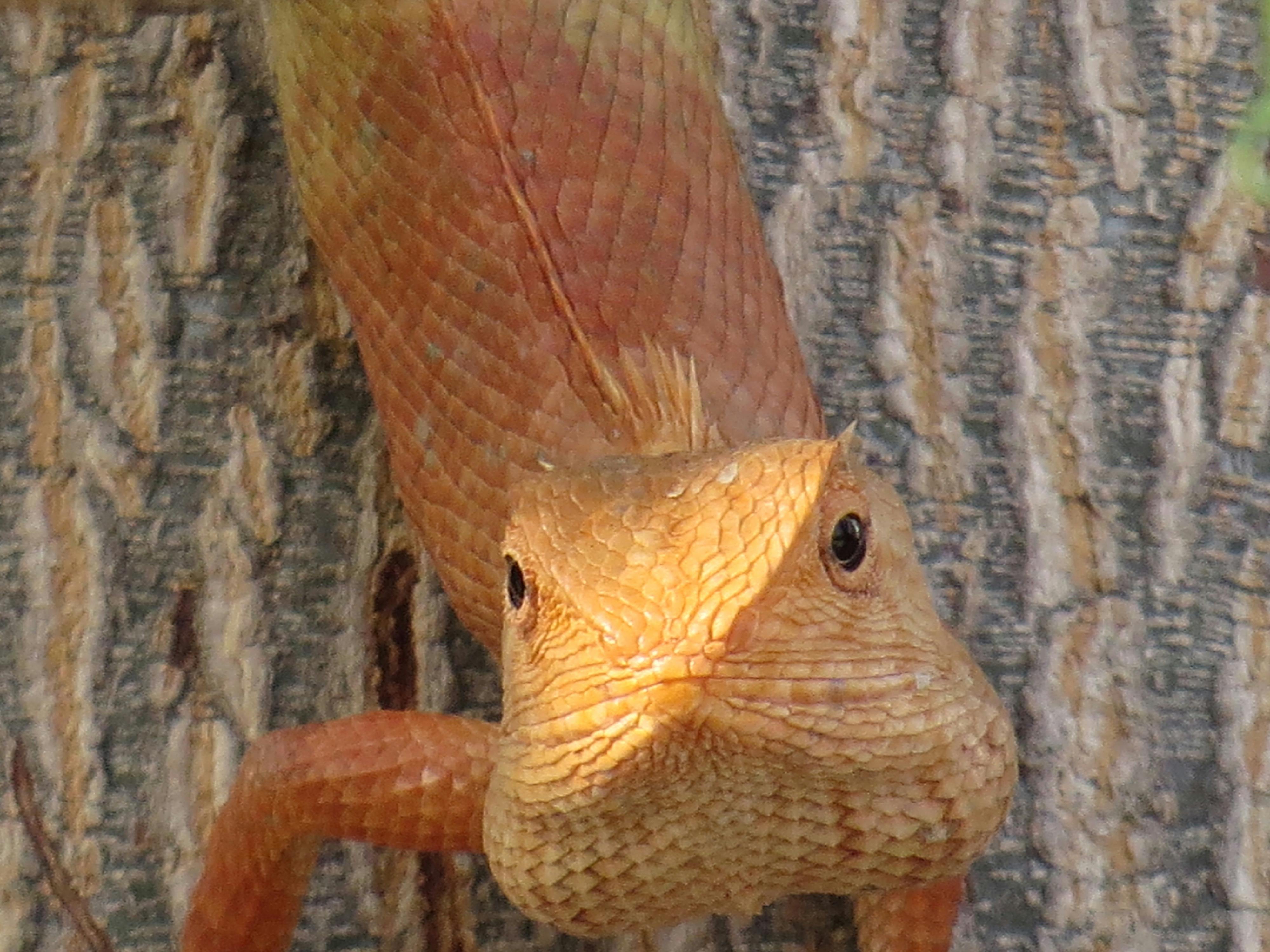 Narito Media - Fotografía