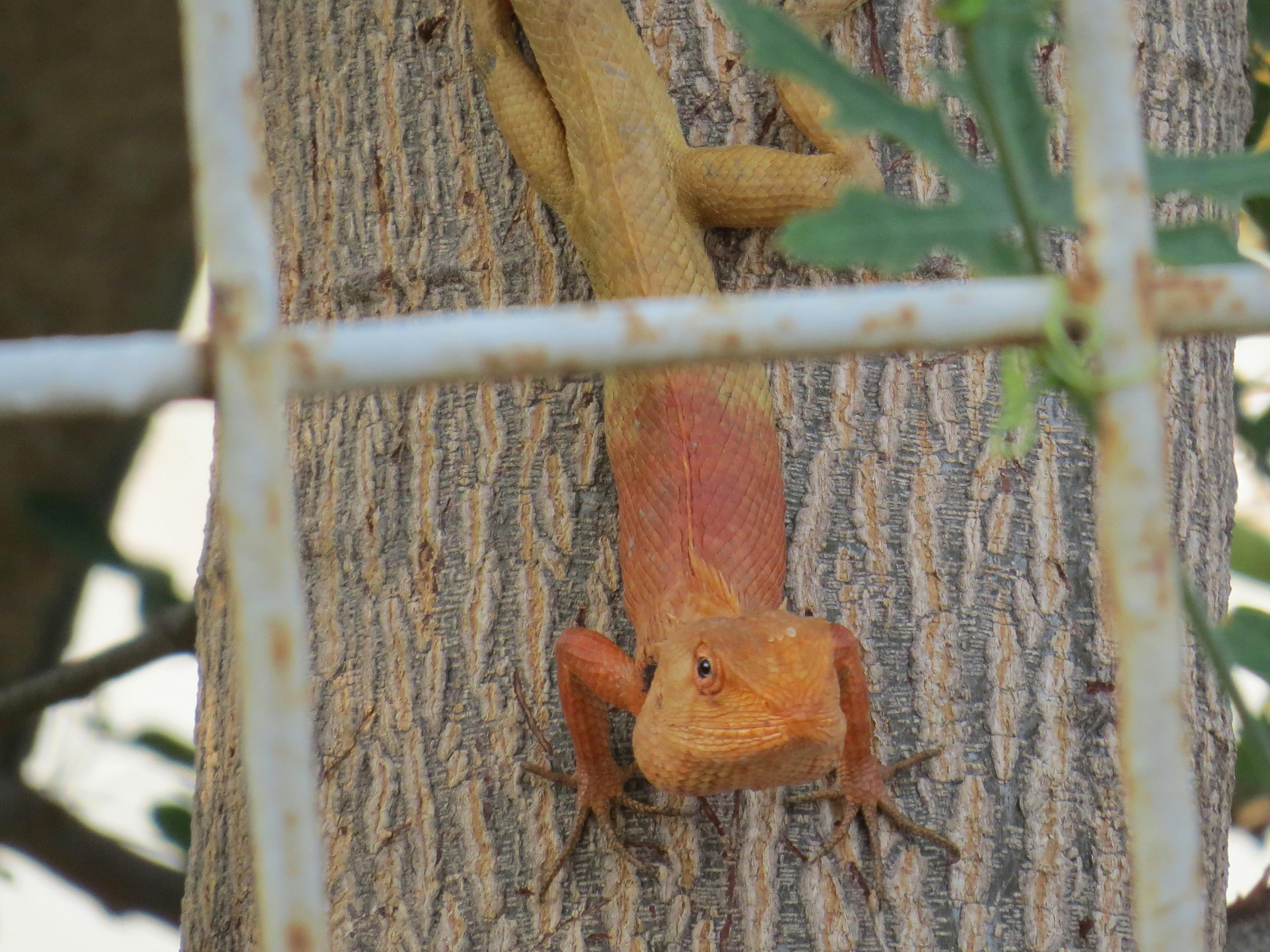 Narito Media - 사진