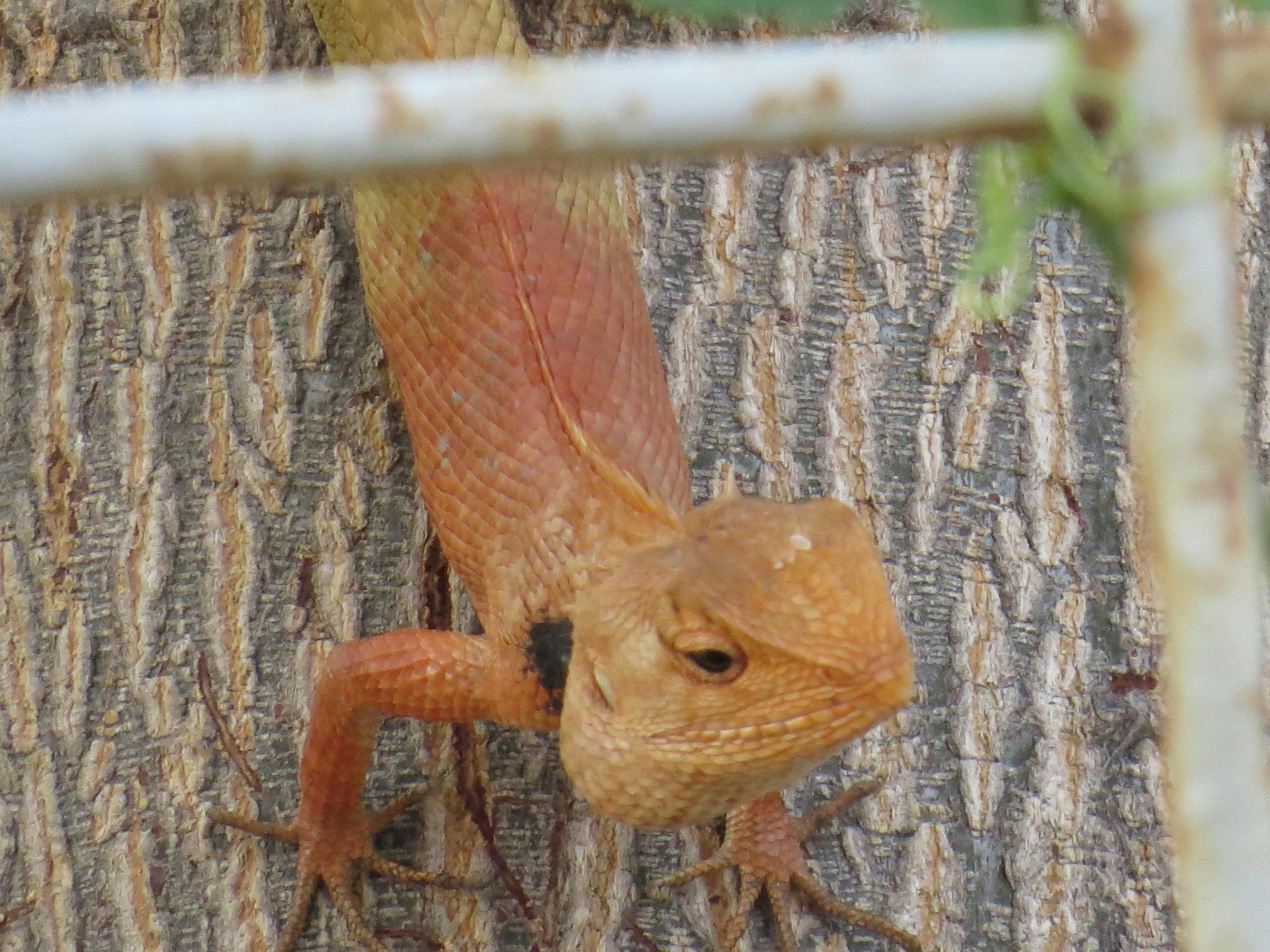 Narito Media - 사진