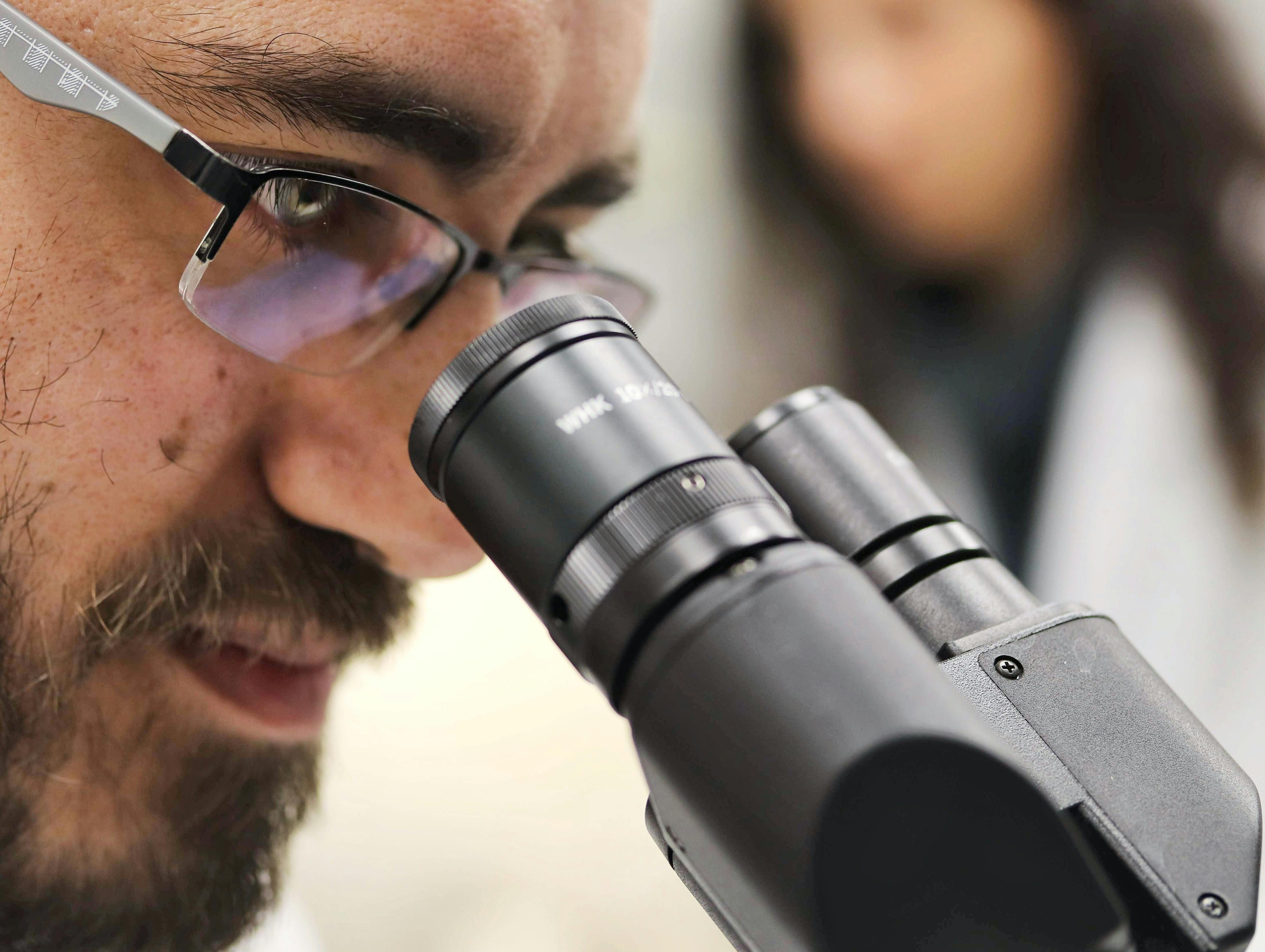 A Man Looking at the Microscope · Free Stock Photo