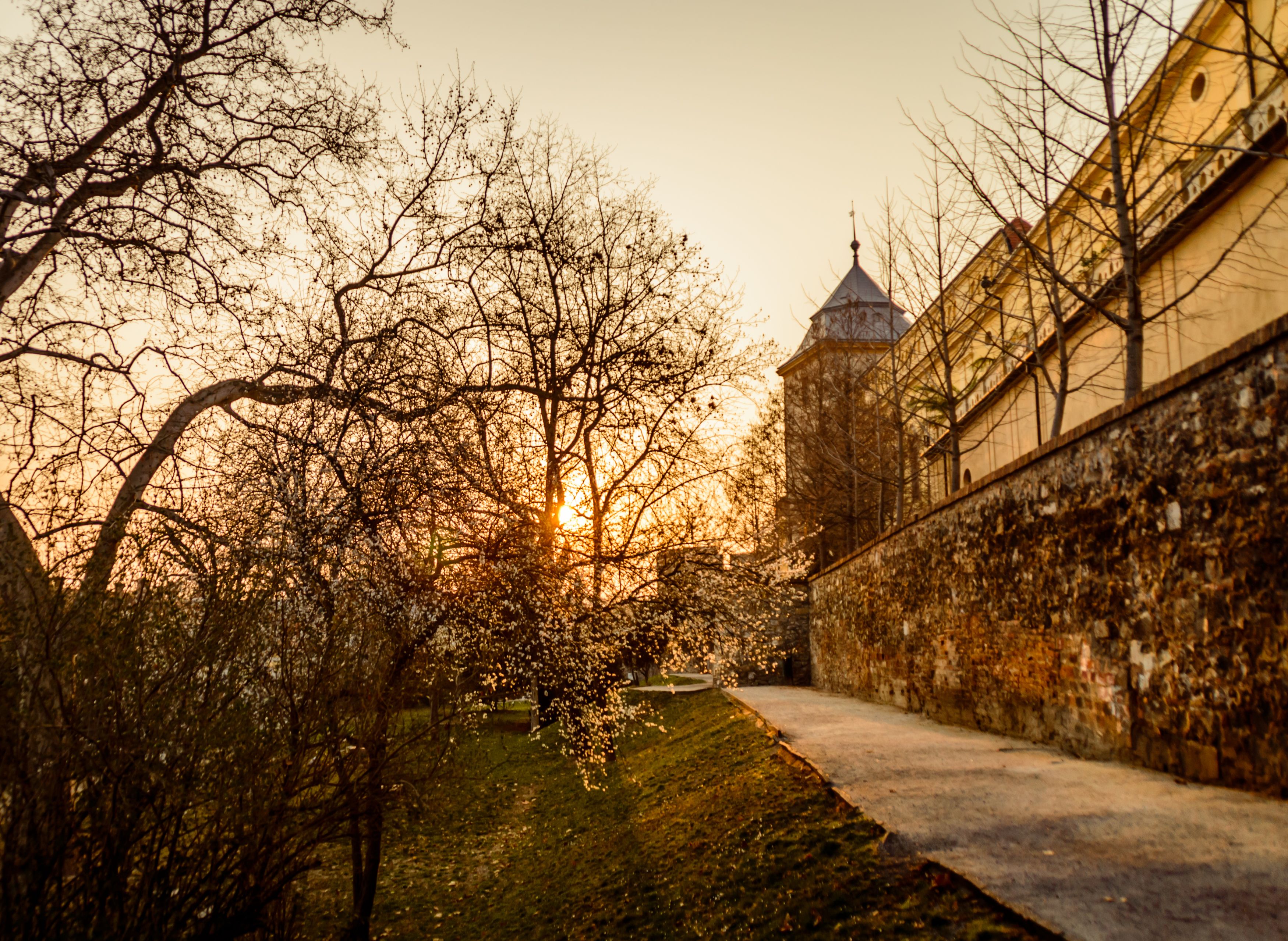 Castle Walls Surrounded by Trees · Free Stock Photo