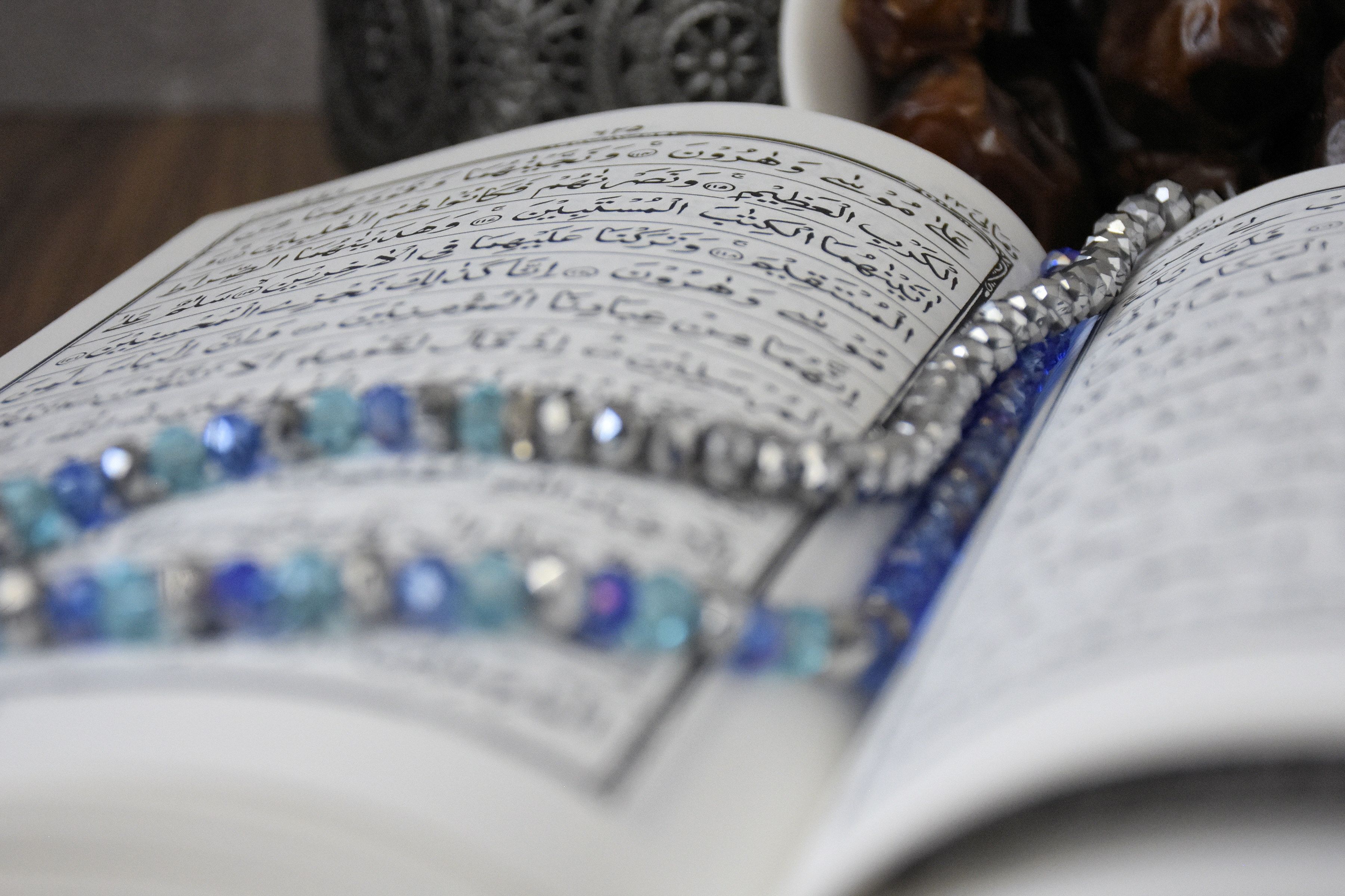 Person Holding a Quran · Free Stock Photo