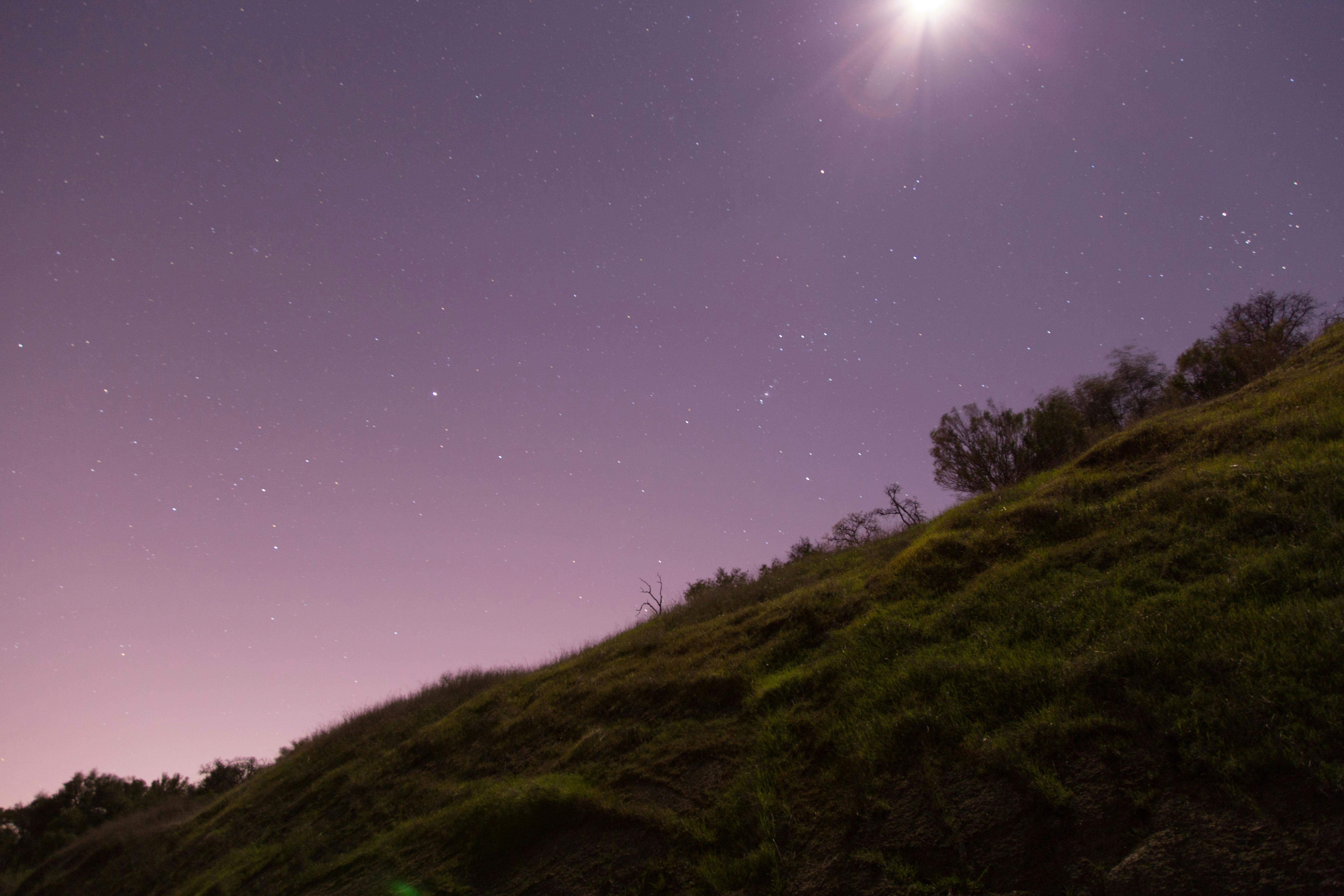 Green Trees during Night Time · Free Stock Photo