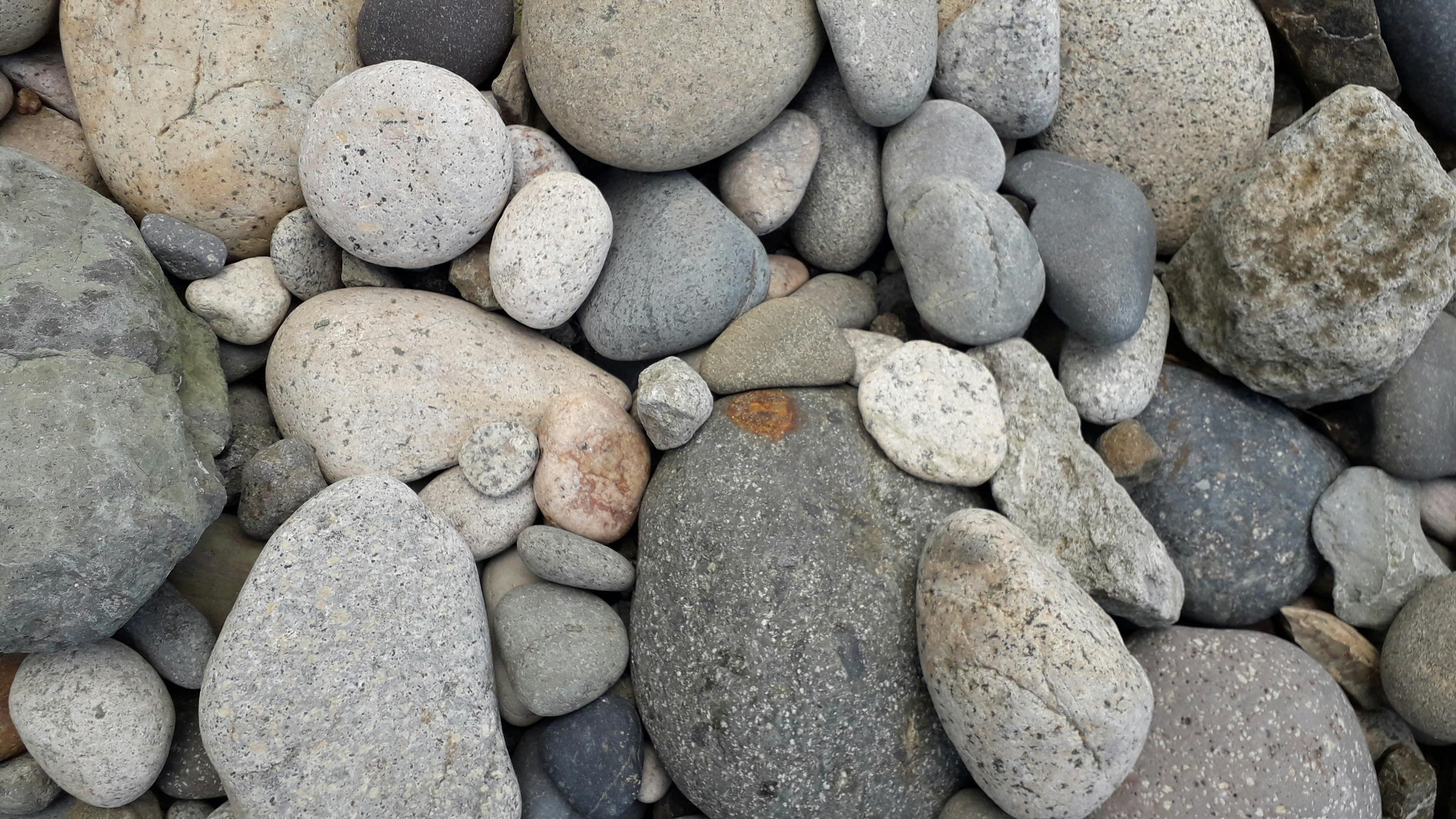 Close-Up Photo of Pebbles · Free Stock Photo
