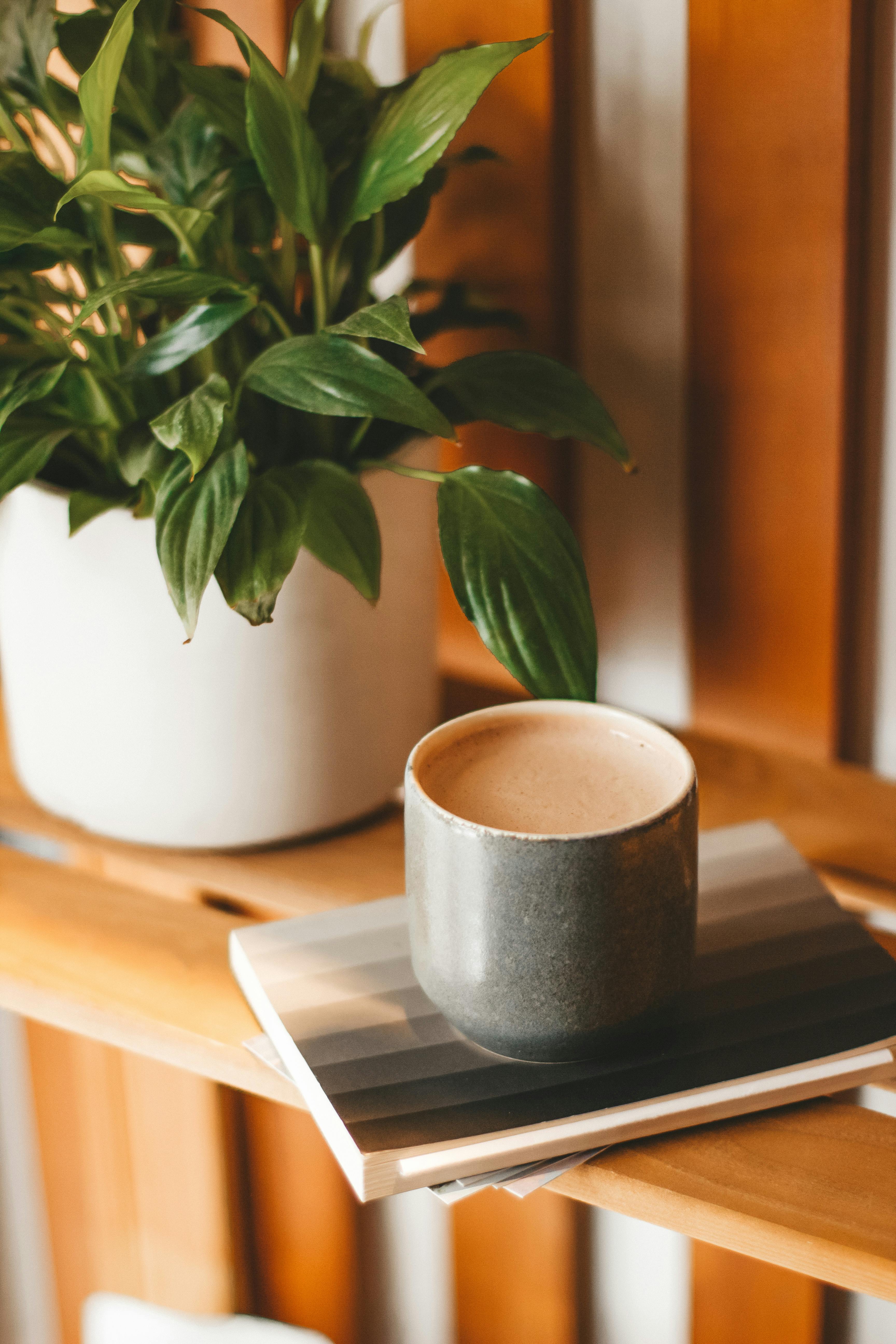 Cup of hot black coffee on tree trunk · Free Stock Photo