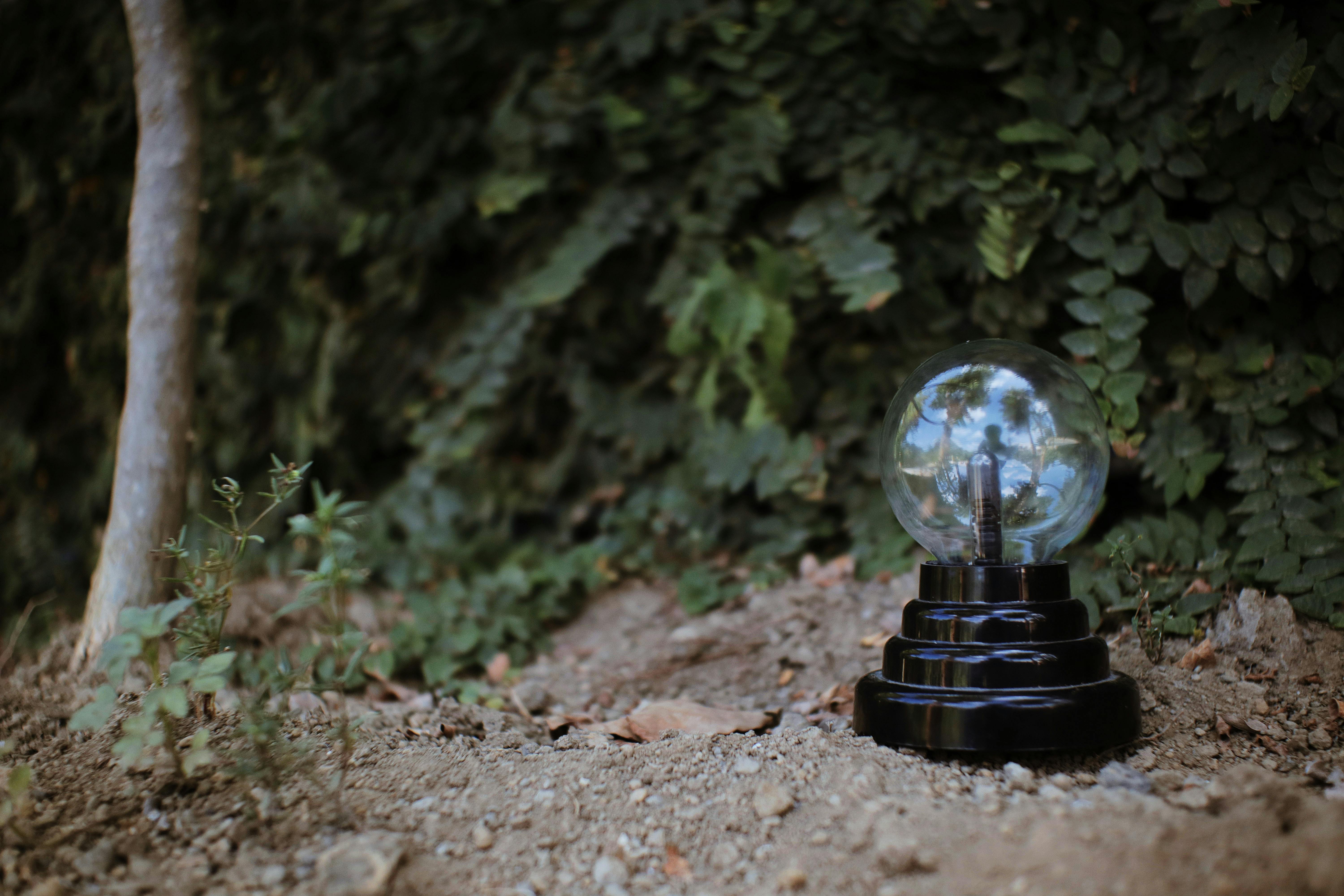 Bush Magic Photos, Download The BEST Free Bush Magic Stock Photos & HD ...