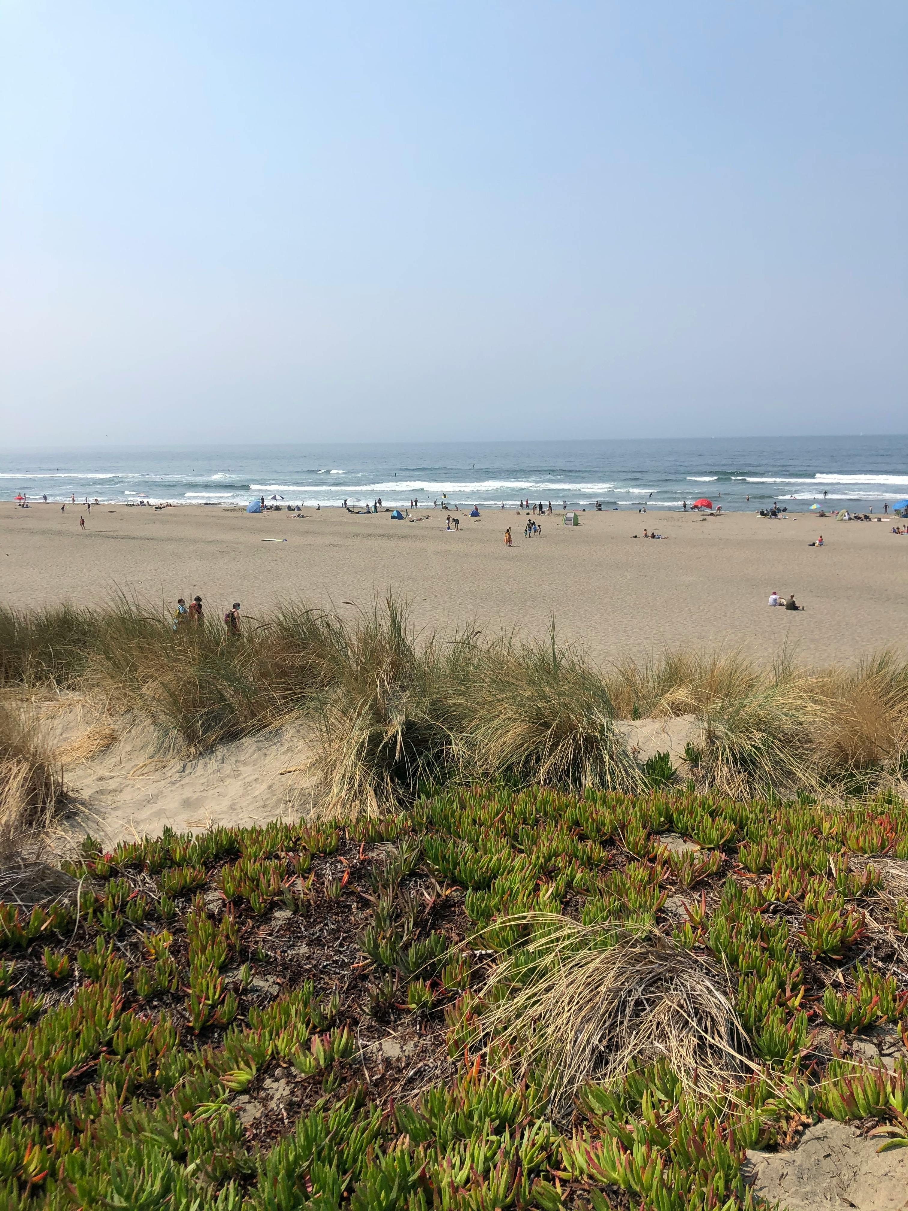 Sea Side Photos, Download The BEST Free Sea Side Stock Photos & HD Images