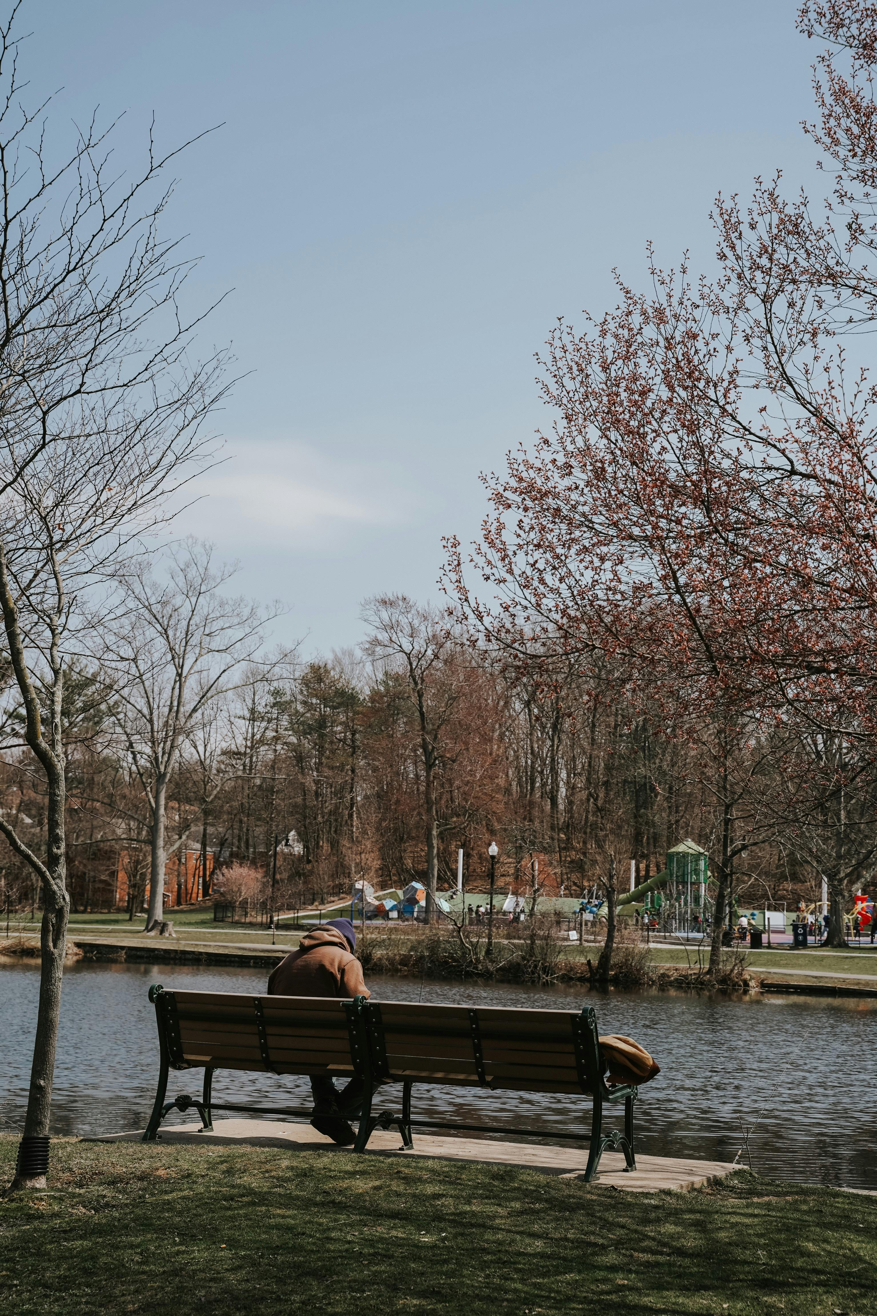 Brown Wooden Bench Near the Lake · Free Stock Photo