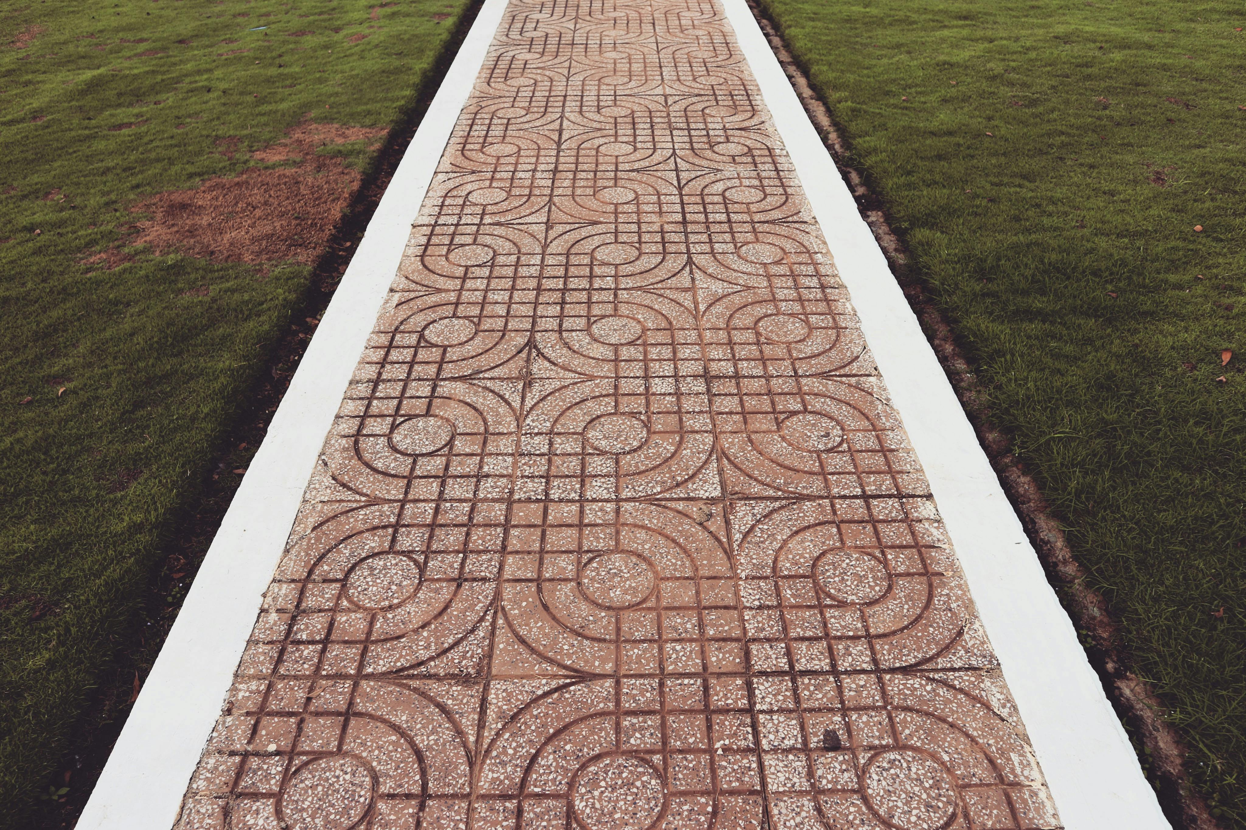 Free stock photo from Bich · Pexels