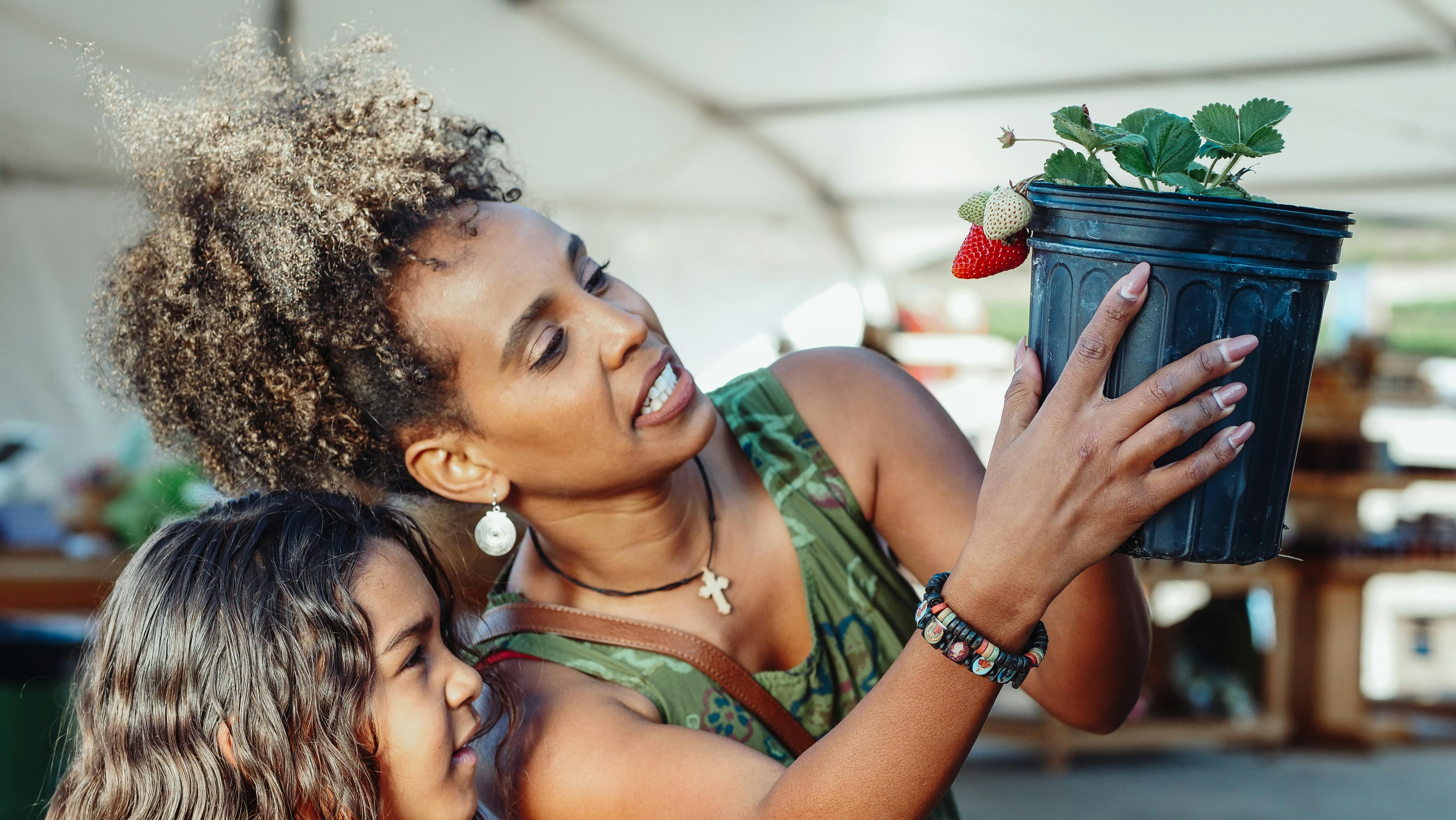 Woman Holding a Bucket with Strawberries · Free Stock Photo