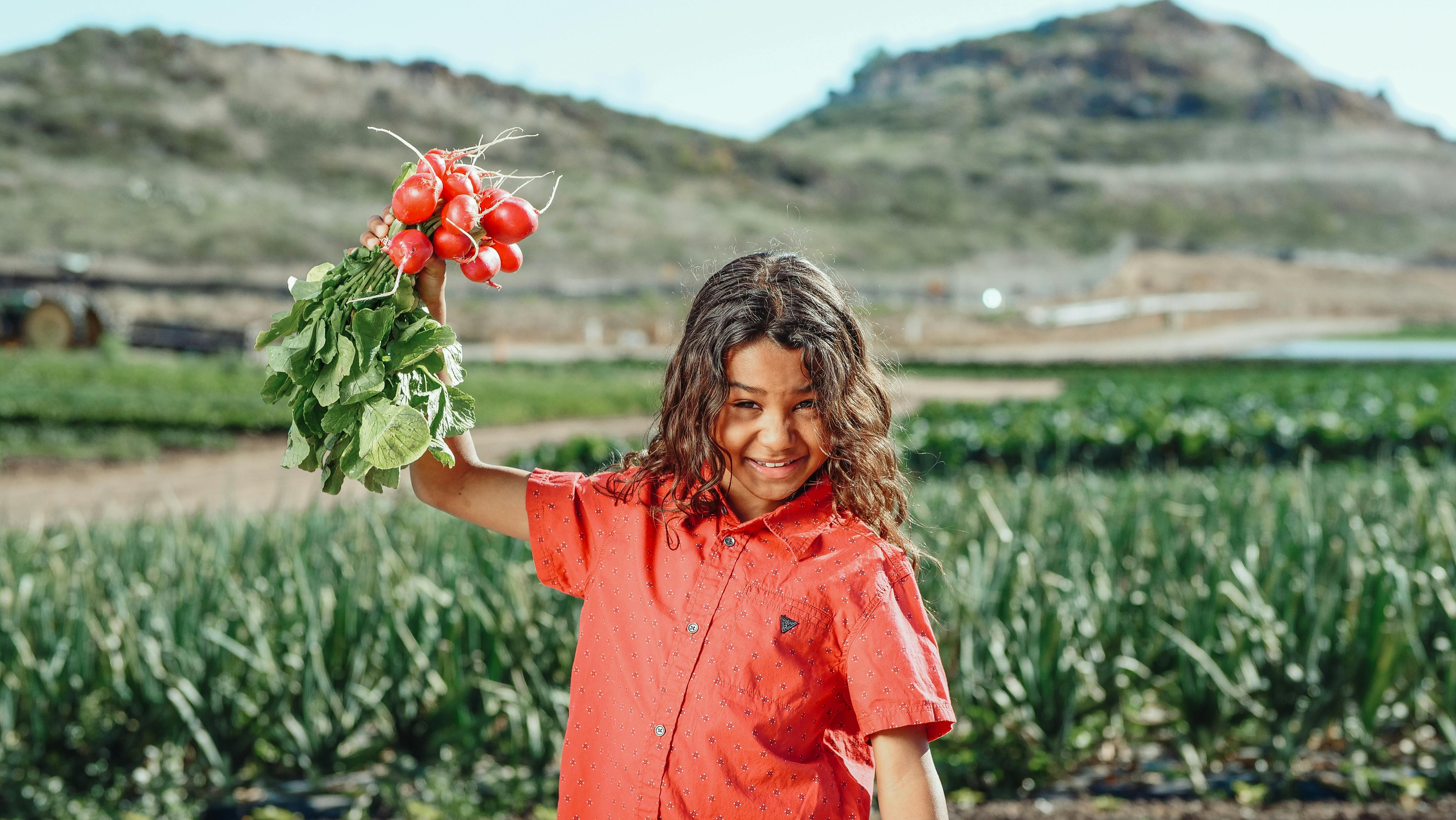 Person Holding A Red Radish Plant · Free Stock Photo